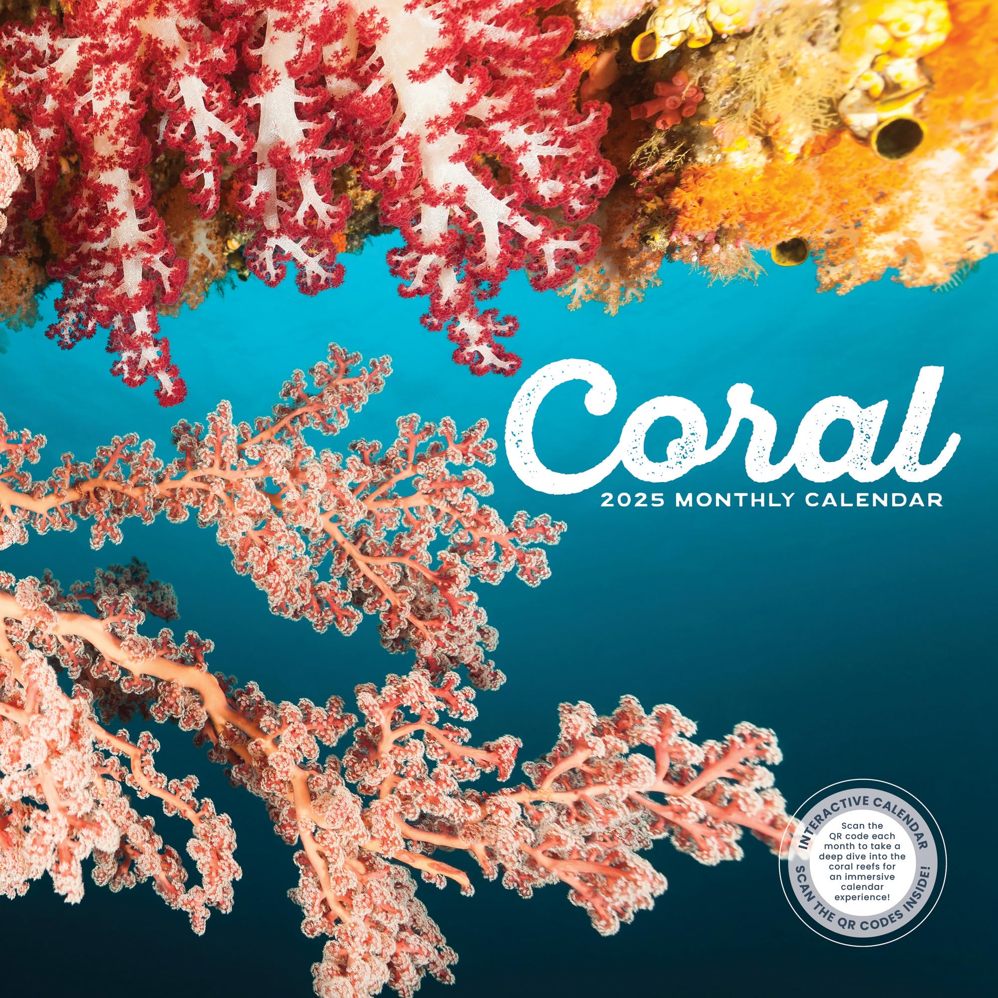 Amazon.com: Coral | 2025 Coral Reef Wall Calendar | 12" x 24" | Marble ...