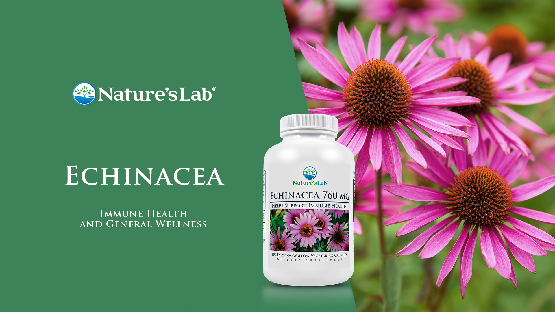 Watch Nature's Lab Echinacea Dietary Supplement - Powerful All Natural ...