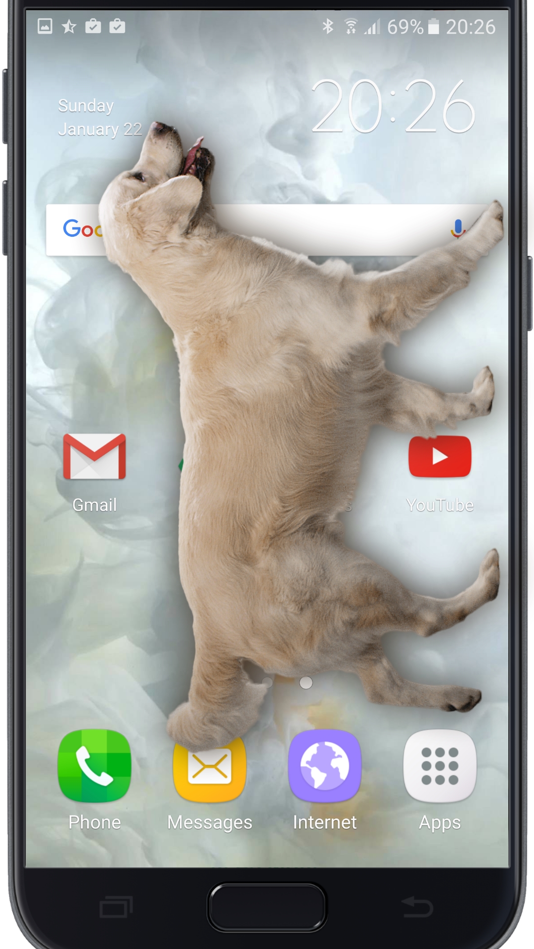 Dog on screen: Woof woof joke - App on Amazon Appstore