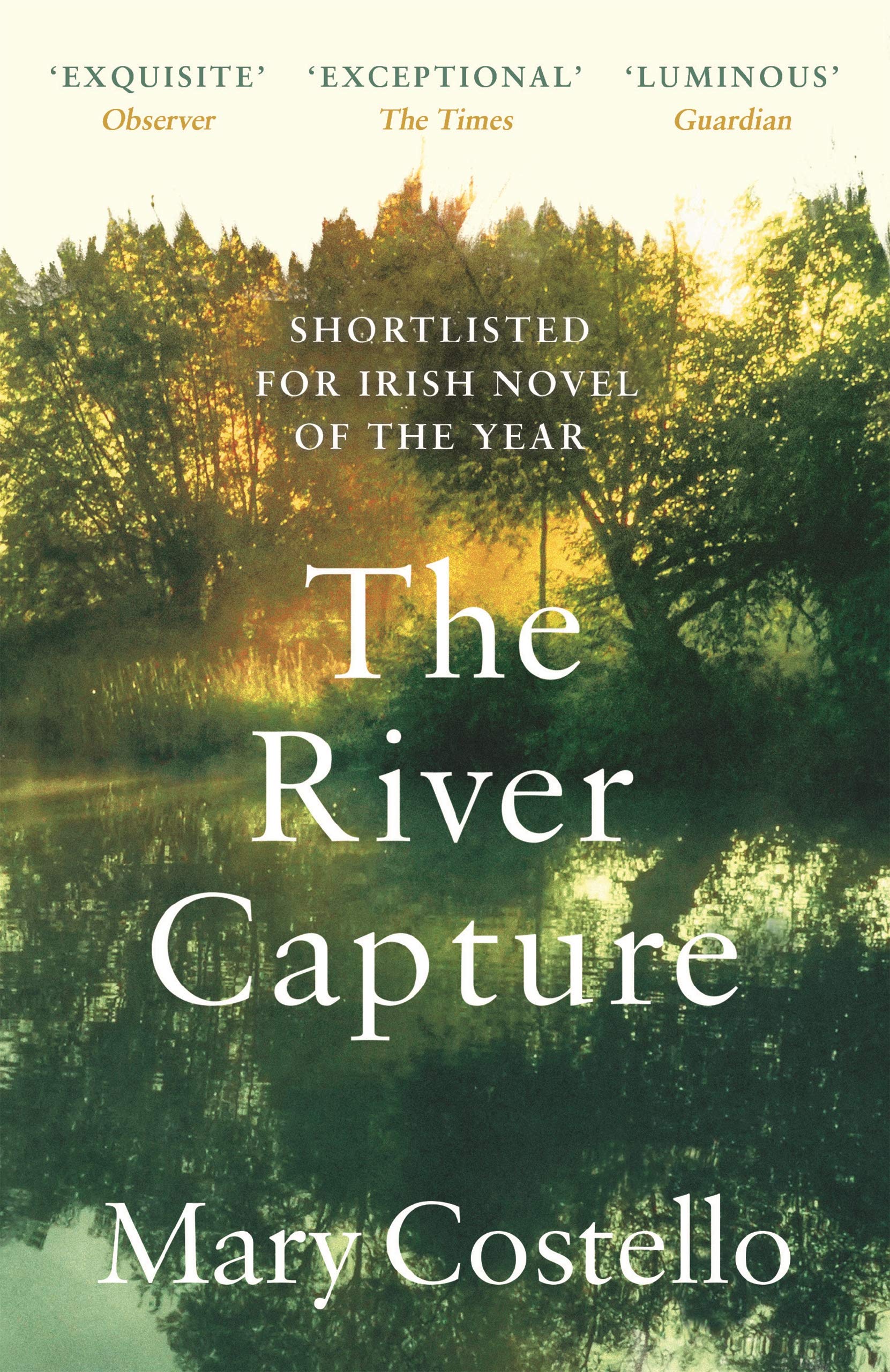 The River Capture: Amazon.co.uk: Costello, Mary: 9781786898043: Books
