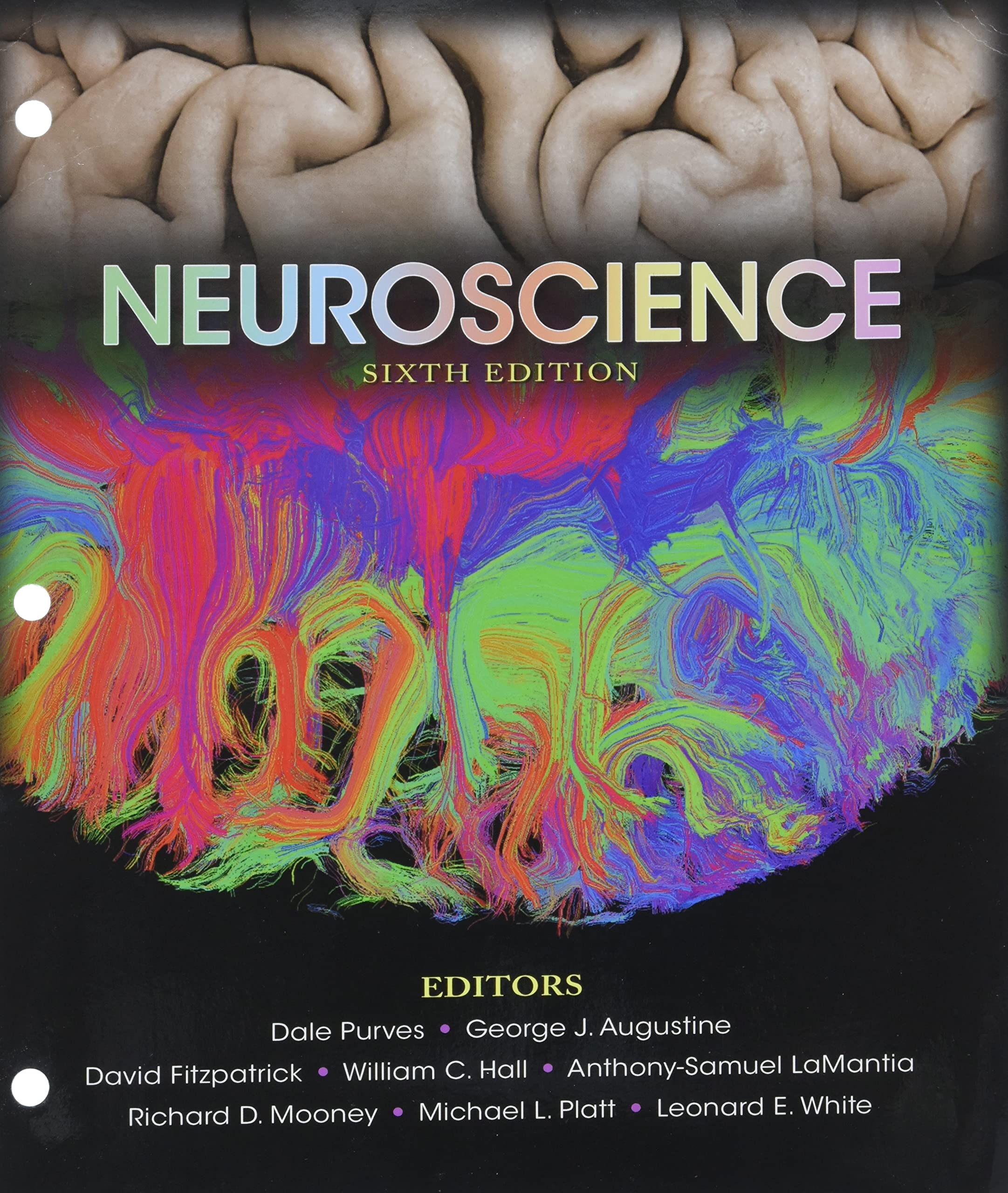 Neuroscience 6th Edition: Purves: 9781605356372: Amazon.com: Books
