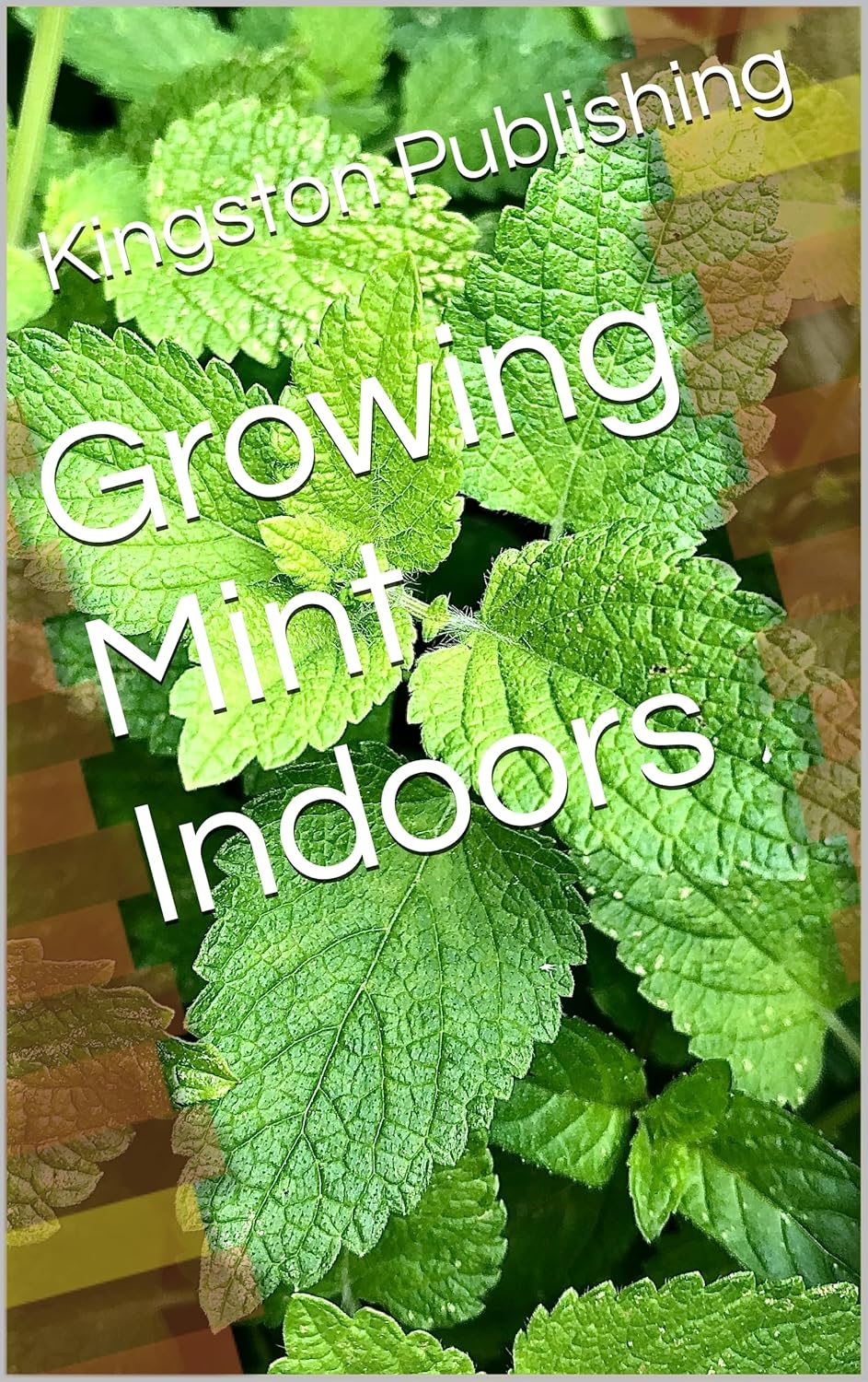 Amazon.com: Growing Mint Indoors (Healing Tisanes) eBook : Publishing ...