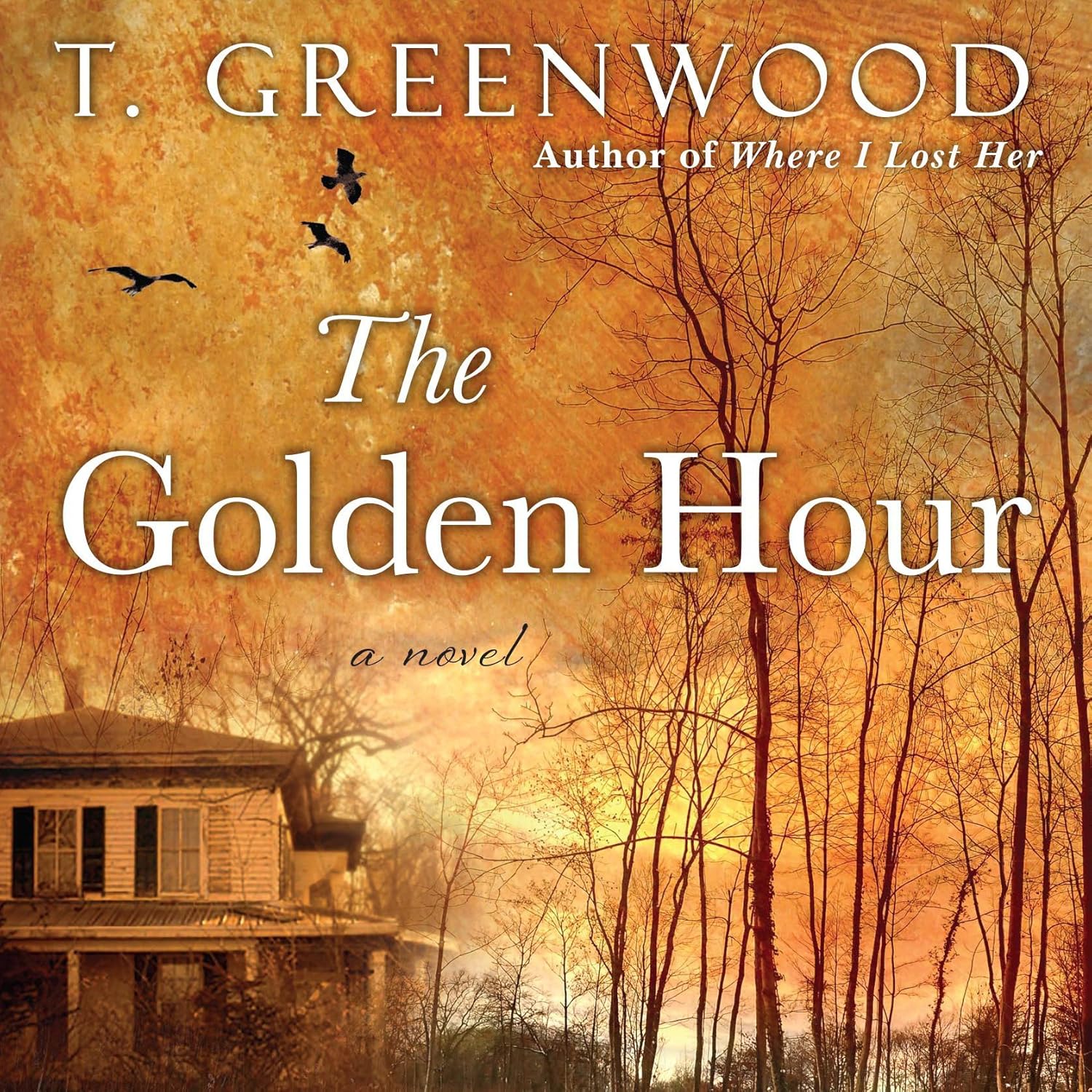 Amazon.com: The Golden Hour (Audible Audio Edition): T. Greenwood ...