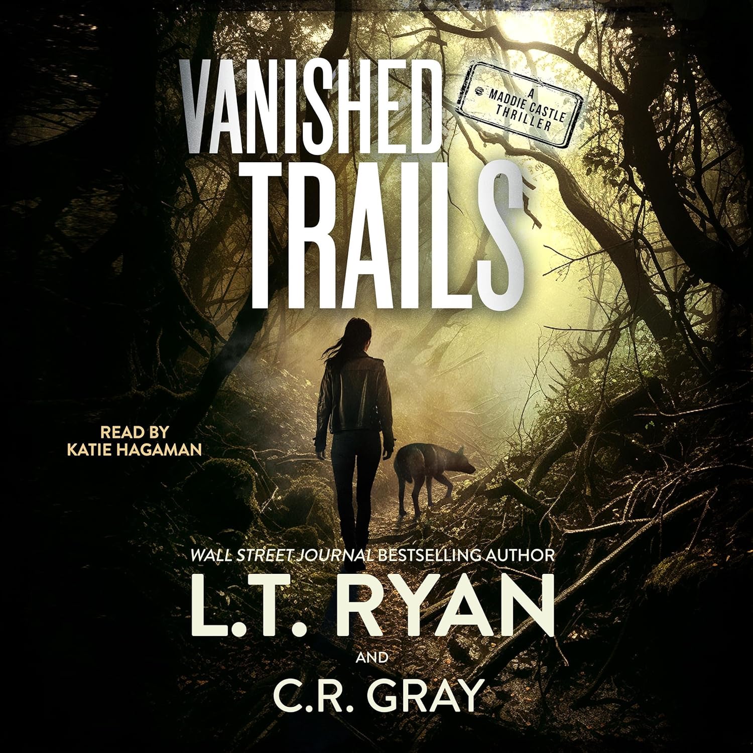 Amazon.com: Vanished Trails: Maddie Castle, Book 4 (Audible Audio Edition): L.T. Ryan, C.R. Gray ...