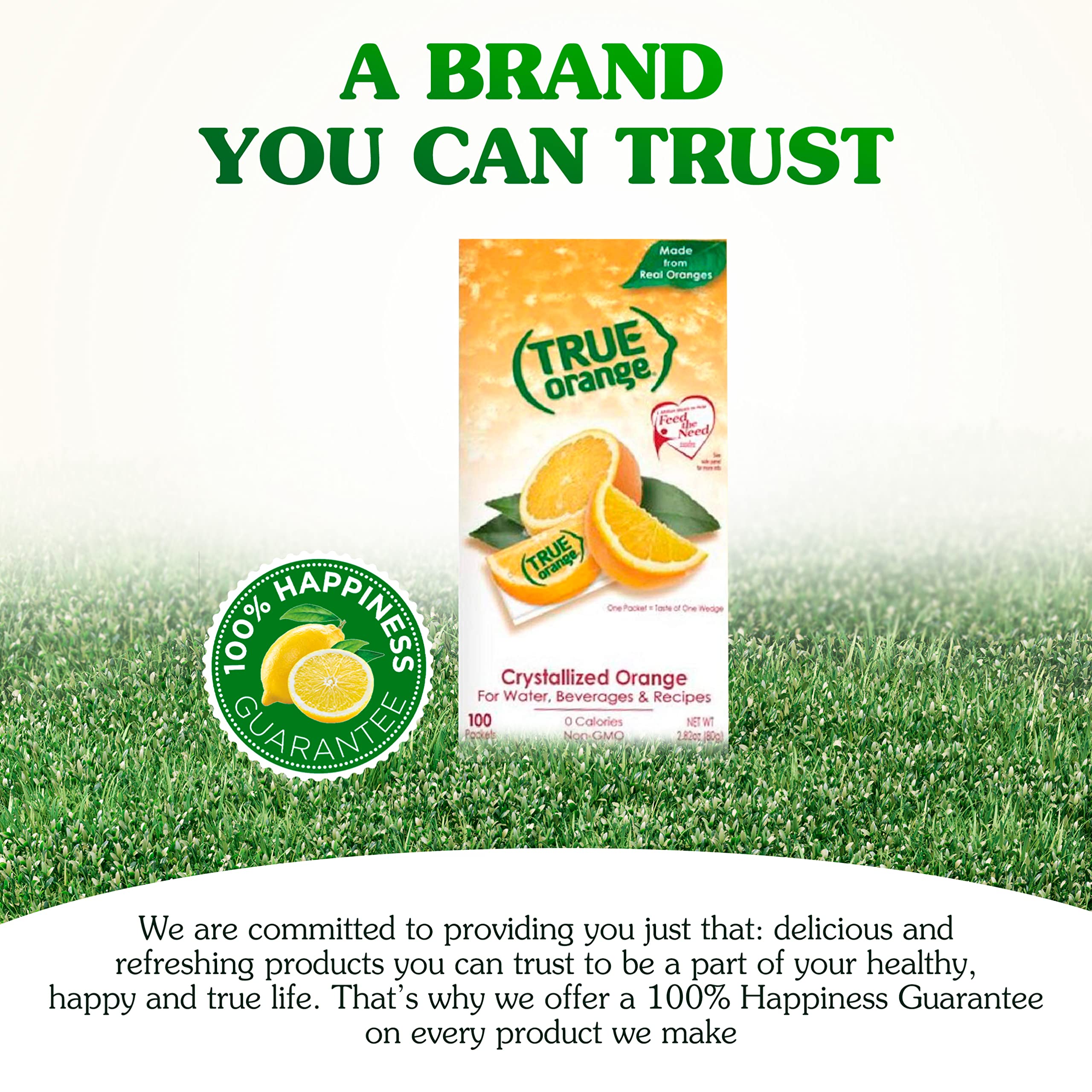 Snapklik.com : TRUE ORANGE Water Enhancer, Bulk Dispenser Pack - 100 ...