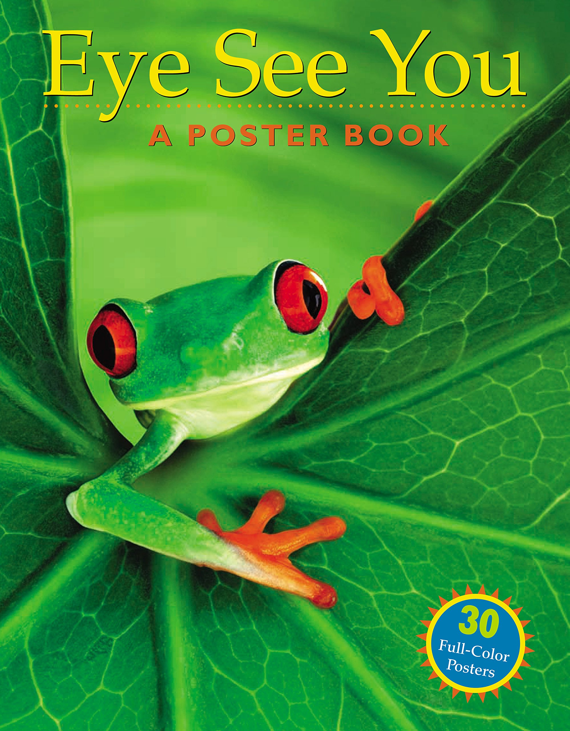 Eye See You: A Poster Book: Balmuth, Deborah L., Guare, Sarah ...