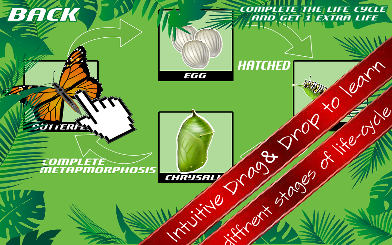 Insect Slice N Learn Free - App on Amazon Appstore