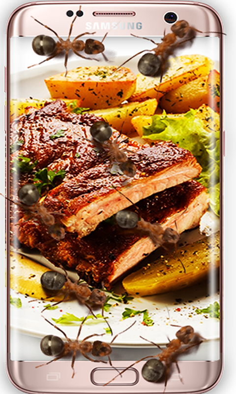 Ants On Screen - App on the Amazon Appstore