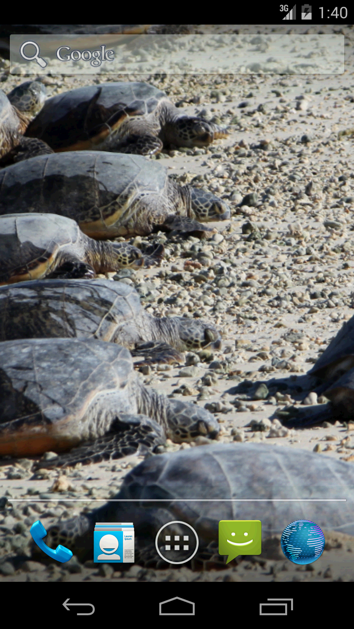 Turtle Wallpaper App - App on Amazon Appstore