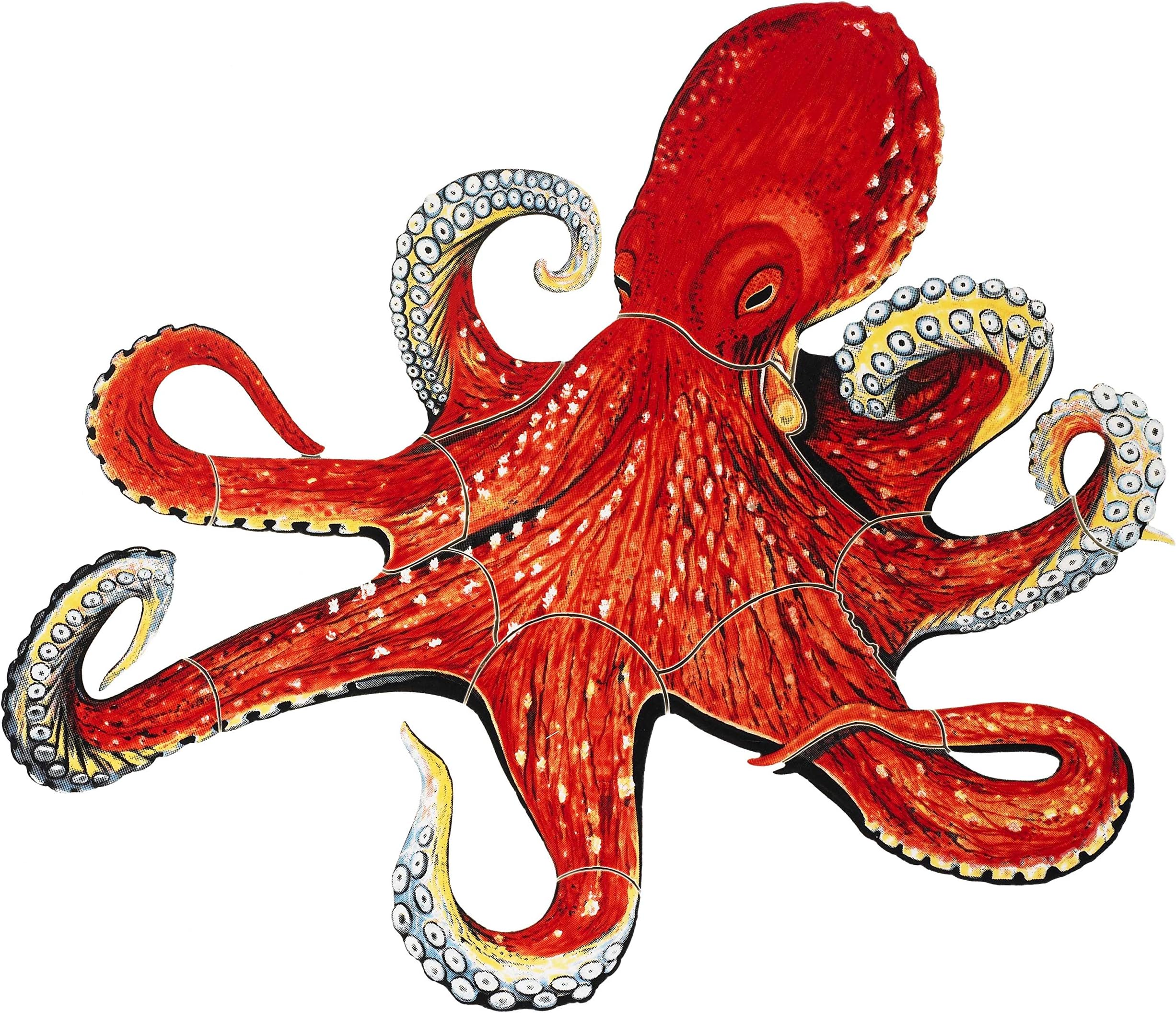 Amazon.com: Octopus Porcelain Swimming Pool Mosaic (7" x 6") : Patio ...