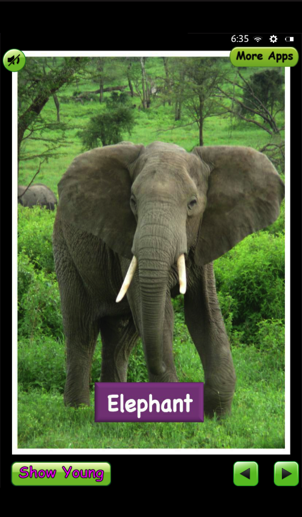 Preschool - Animals and their Young - App on Amazon Appstore