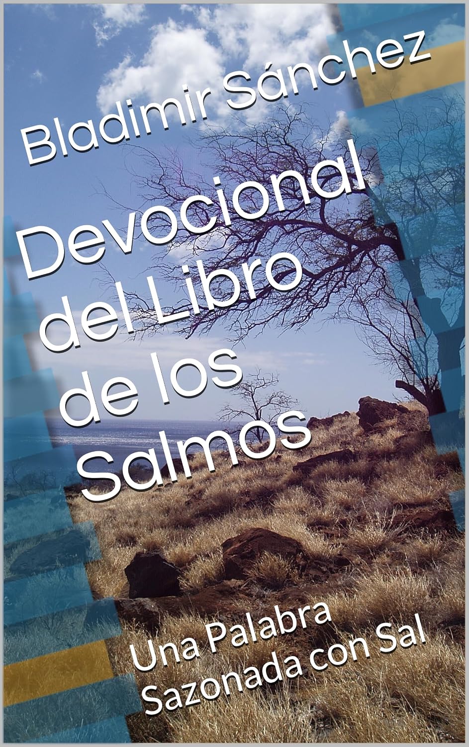 Amazon.com: Devocional del Libro de los Salmos: Una Palabra Sazonada ...