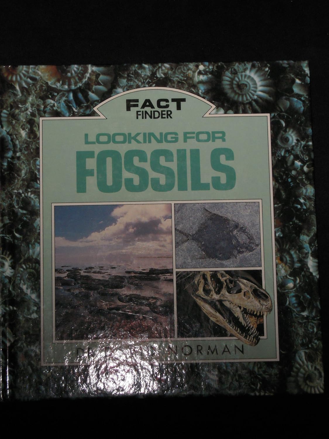 Looking for Fossils: Fact Find (Fact Finders): Rh Value Publishing ...