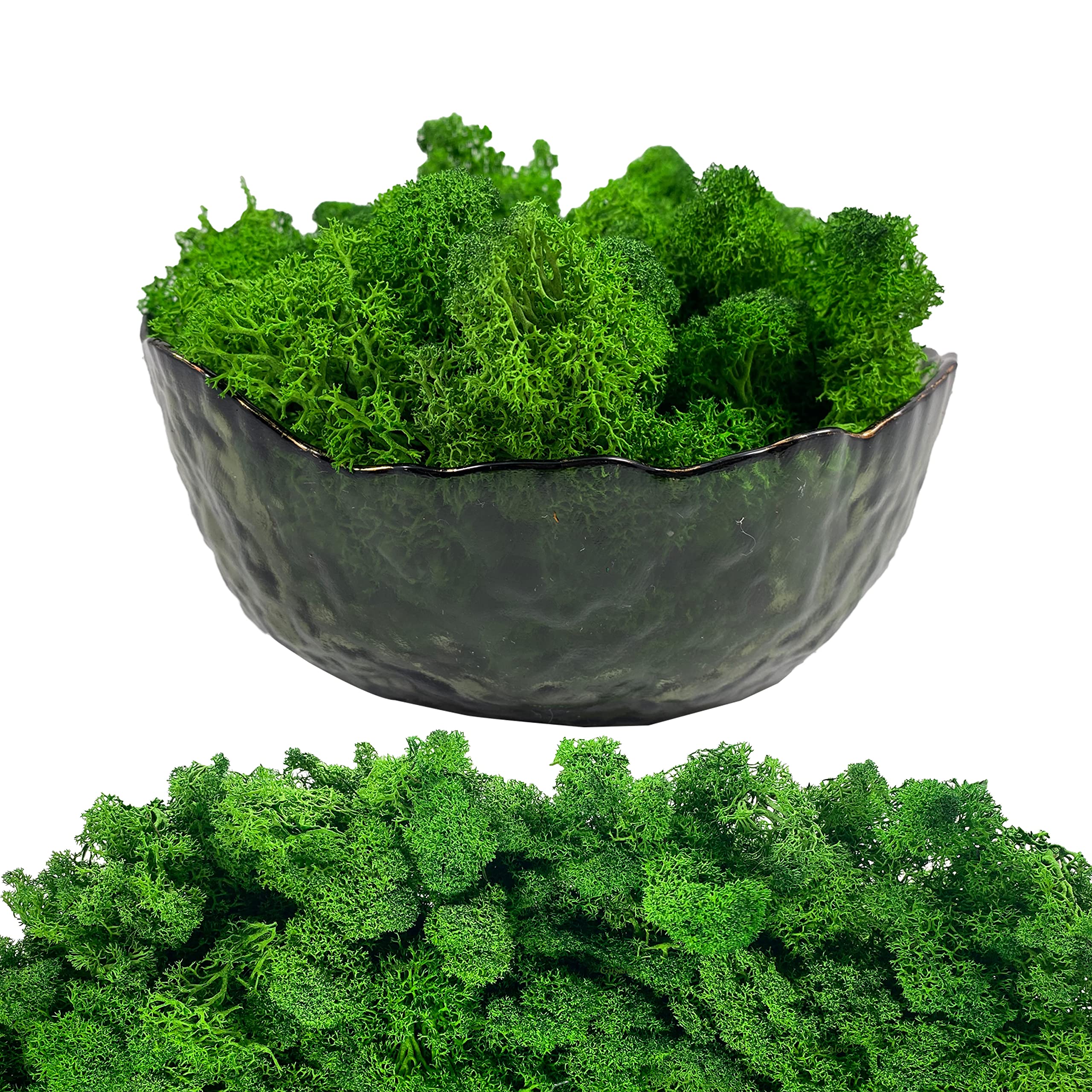 Amazon.com: Gusaloo Moss Preserved Artificial Moss 8.8 oz Natural Fresh ...