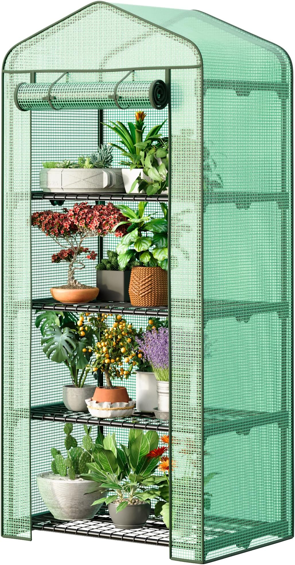 Amazon.com : Qinyoung Mini Greenhouse Kit and Grow Light for Indoor ...