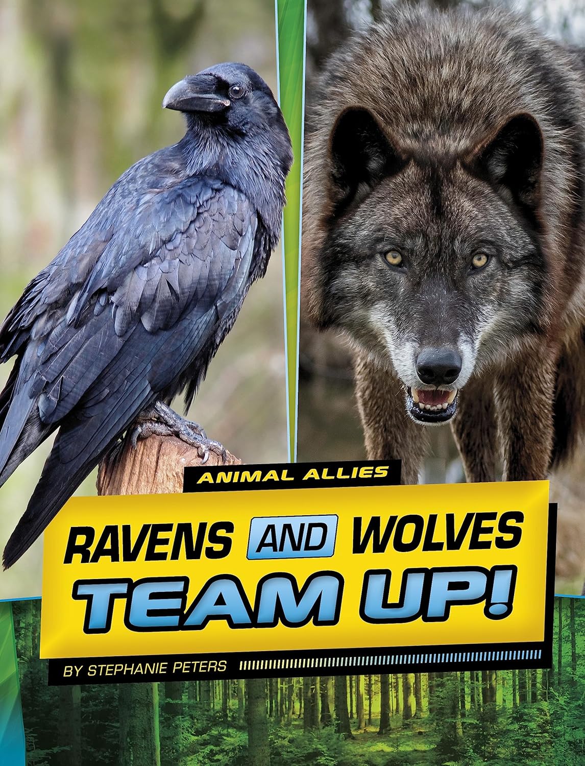 Ravens and Wolves Team Up! (Animal Allies): Stephanie True Peters ...
