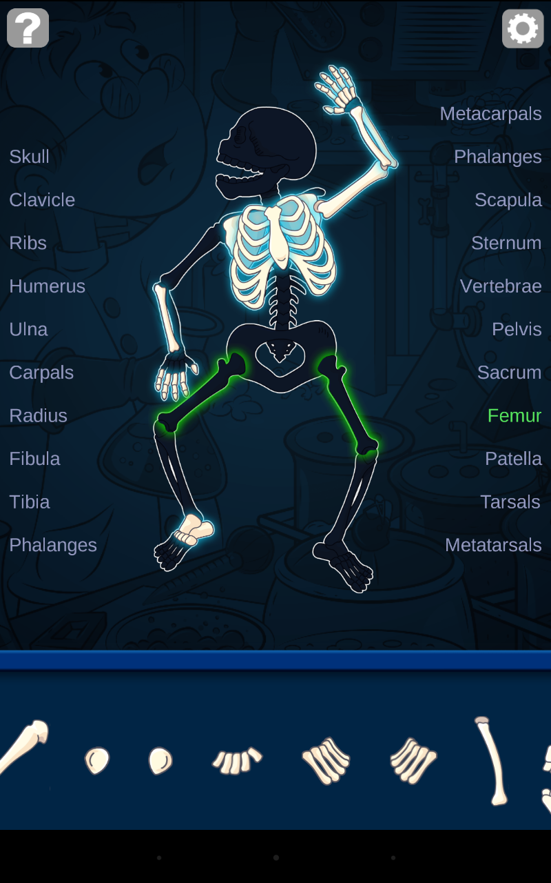 School Zone - Napoleon Bone Apart - Ages 4-6, Human Skeleton, Science ...