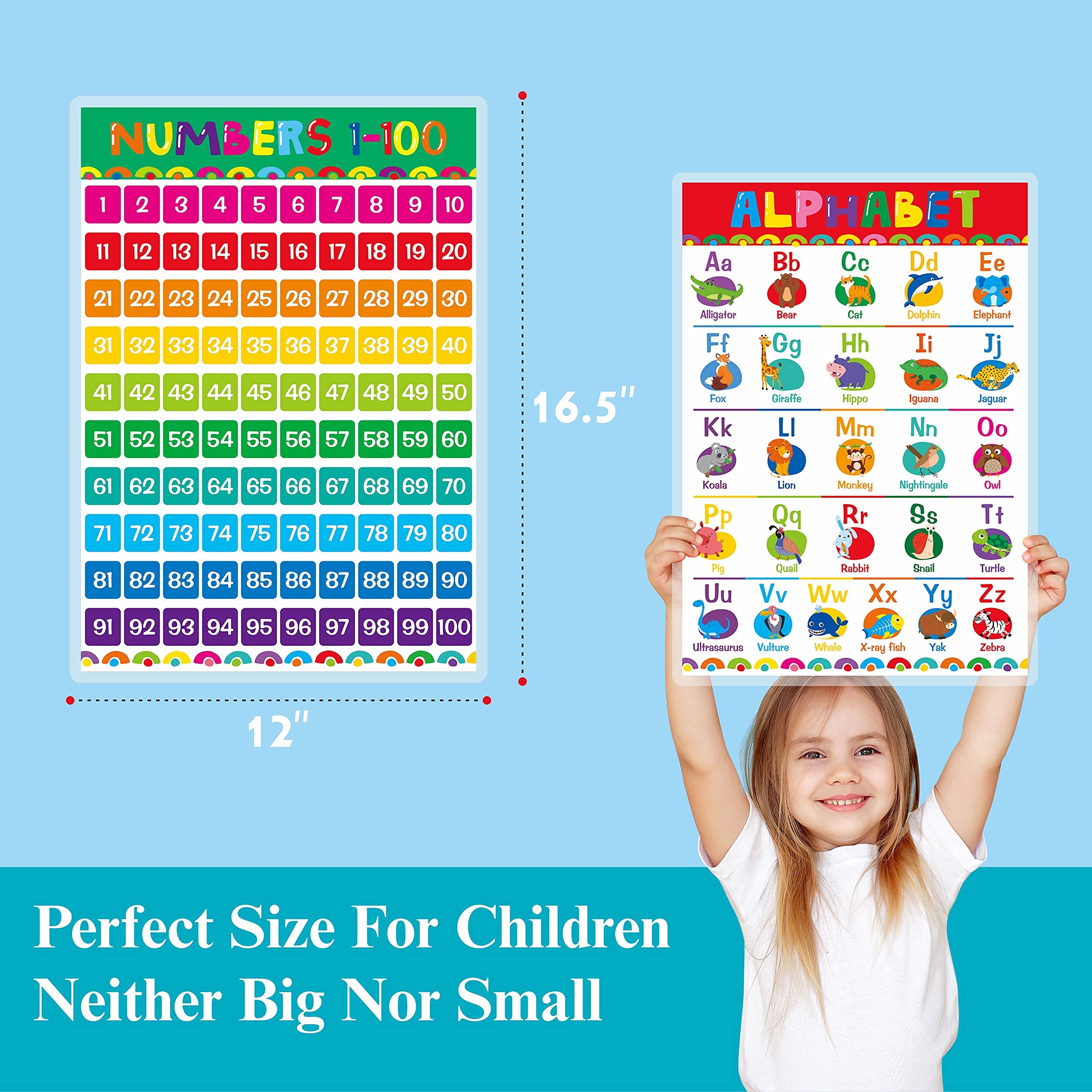 Snapklik.com : ERKE 2 Pack Laminated Educational Alphabet And 1-100 ...