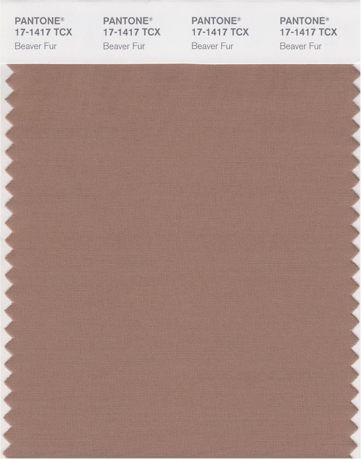 PANTONE Smart 17-1417X Color Swatch Card, Beaver Fur - House Paint ...
