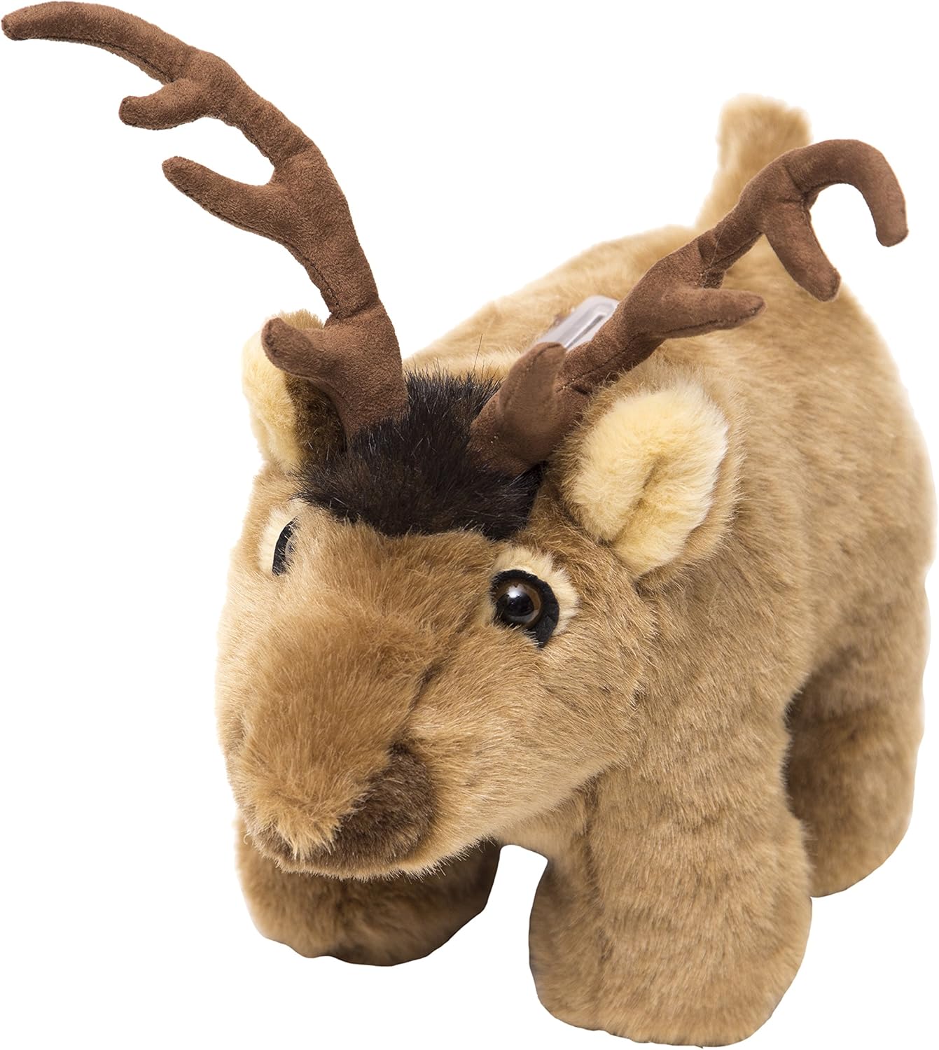 Amazon.com: Carstens Plush Elk Kids Coin Bank : Toys & Games