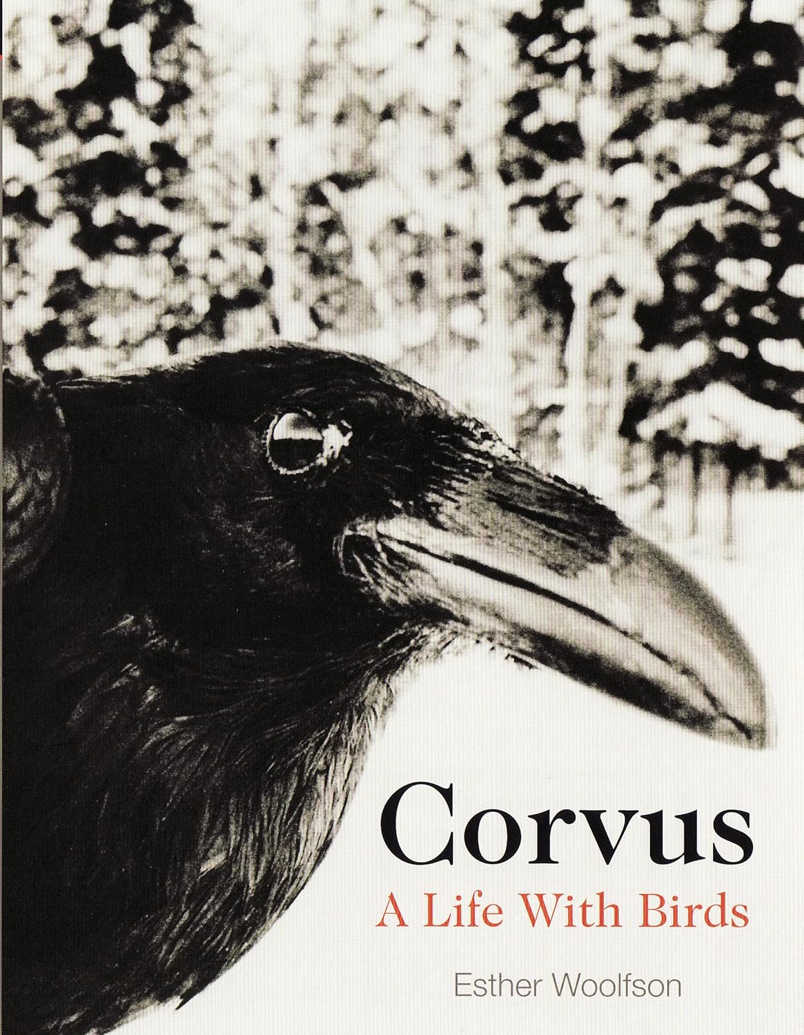 Corvus: Esther Woolfson: 9781847080295: Amazon.com: Books