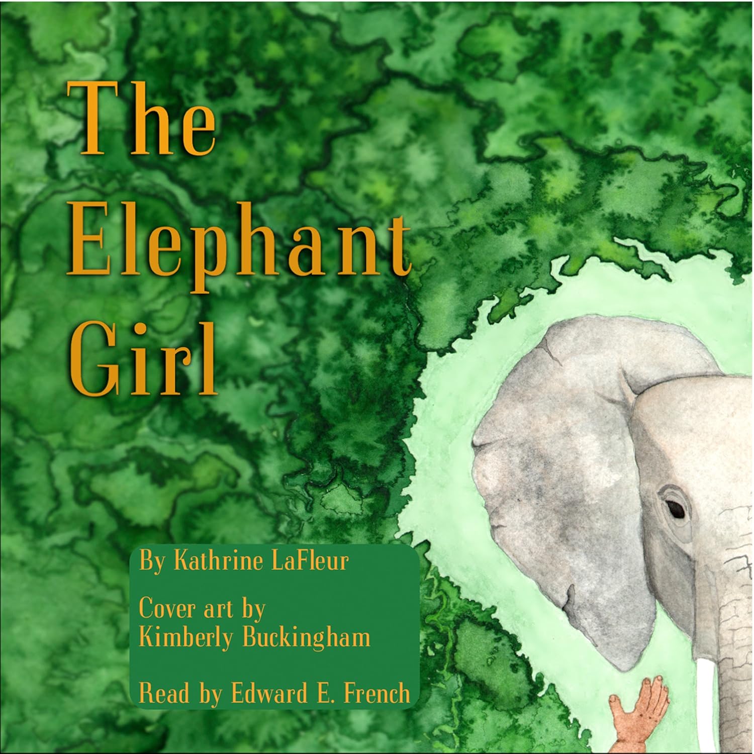 Amazon.com: The Elephant Girl (Audible Audio Edition): Kathrine LaFleur ...