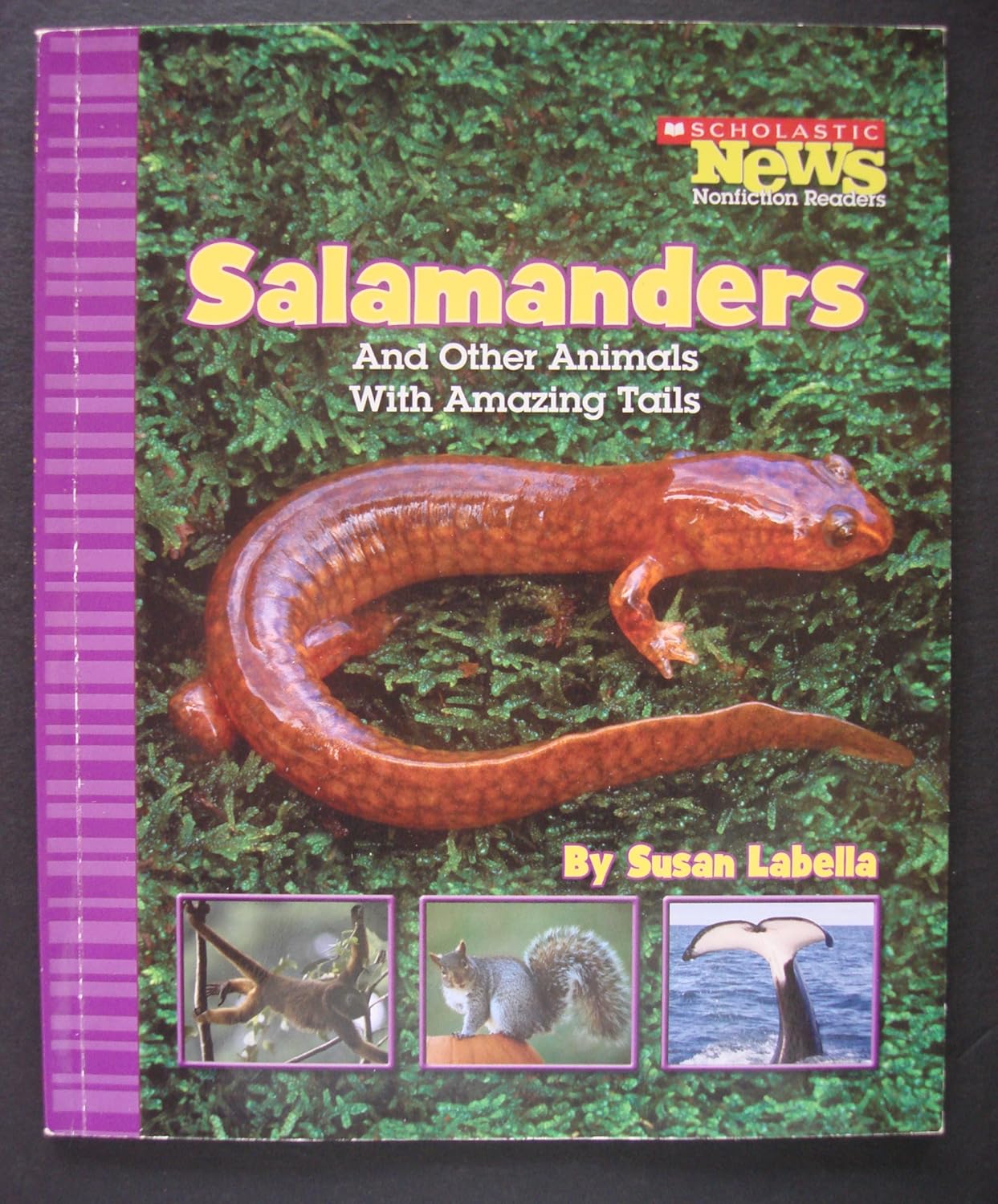 Salamanders and Other Animals With Amazing Tails (Scholastic News ...