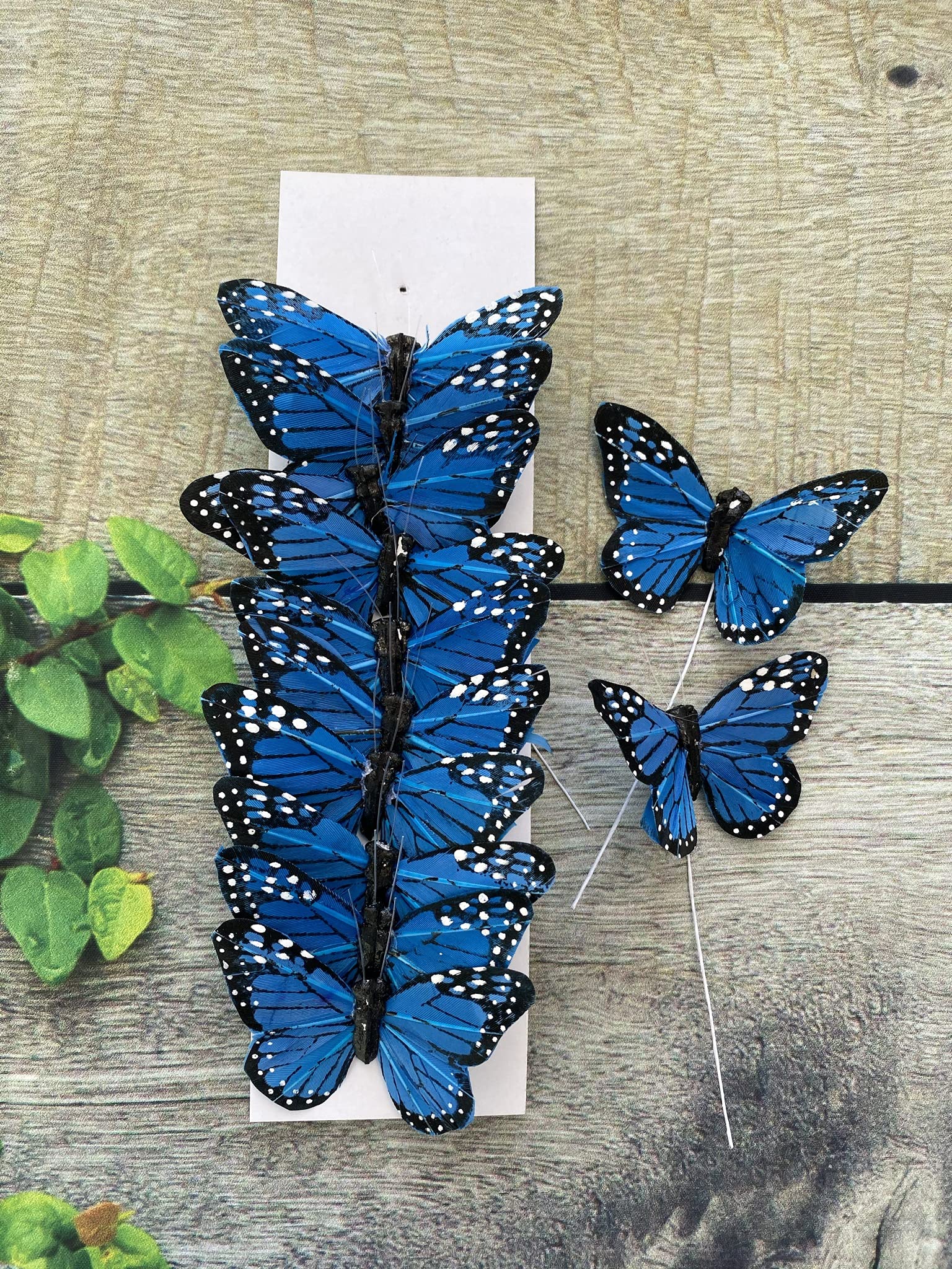 Blue Monarch Butterfly Drawing BLUE MONARCH BUTTERFLY, Words,