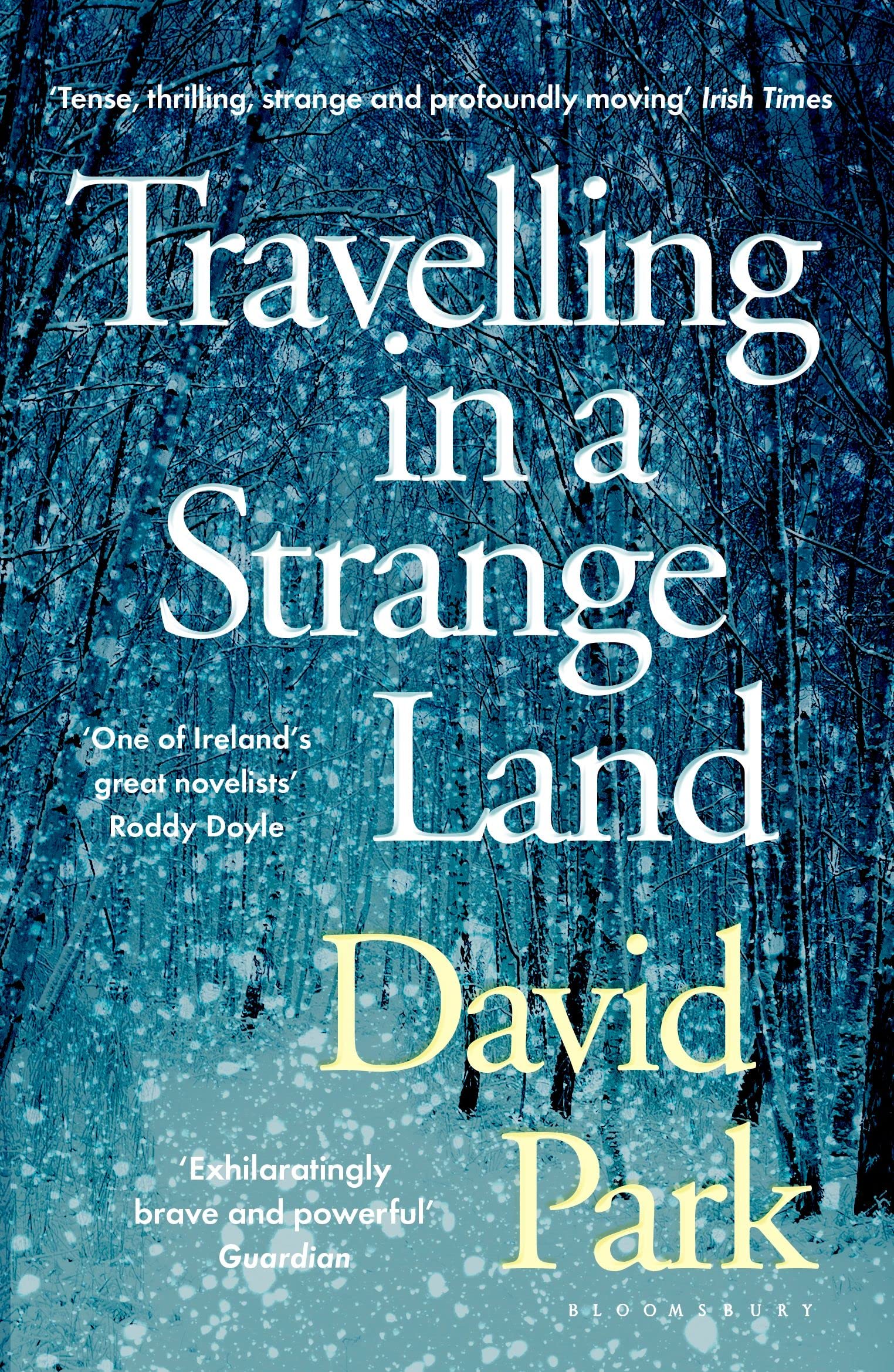 Travelling in a Strange Land: Winner of the Kerry Group Irish Novel of ...