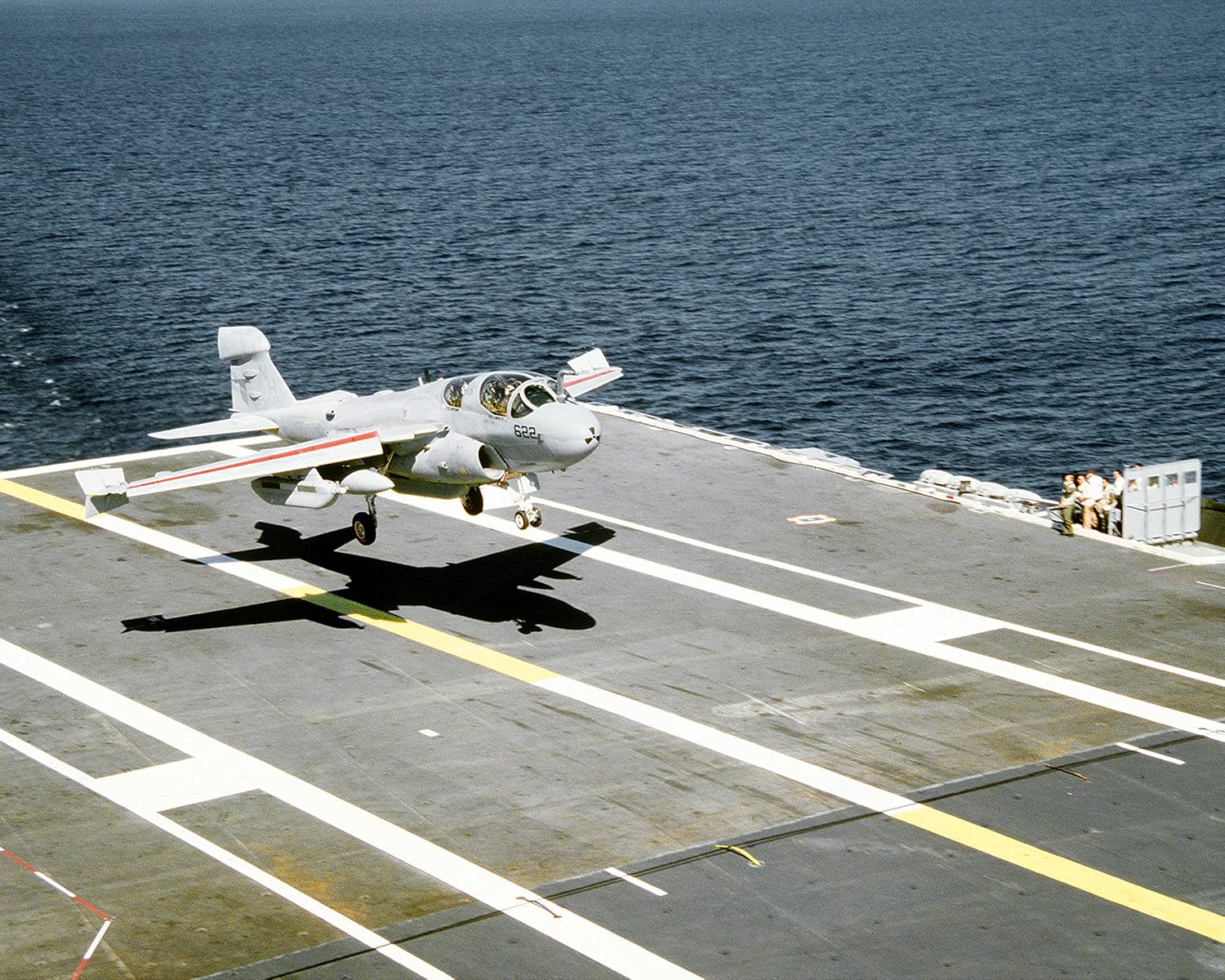 Amazon.com: A Tactical Electronic Warfare Squadron 135 (VAQ-135) EA-6B ...