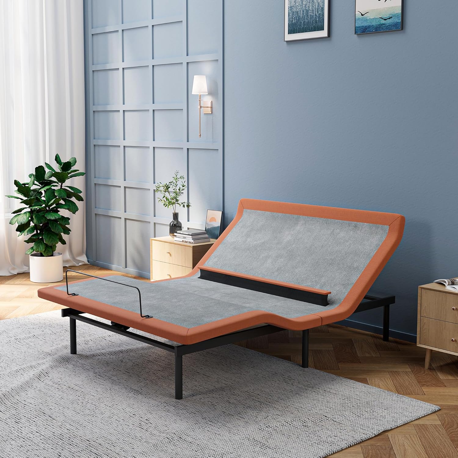 Amazon.com: ESHINE Queen Adjustable Bed Frame with Lumbar Support, Head ...