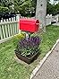 Amazon.com : SnapPot Mailbox Planter Box - Resin Planter Extra Large ...