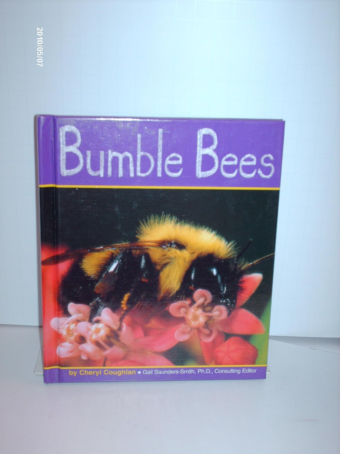 Bumble Bees (Pebble Books): Coughlan, Cheryl: 9780736802369: Amazon.com ...
