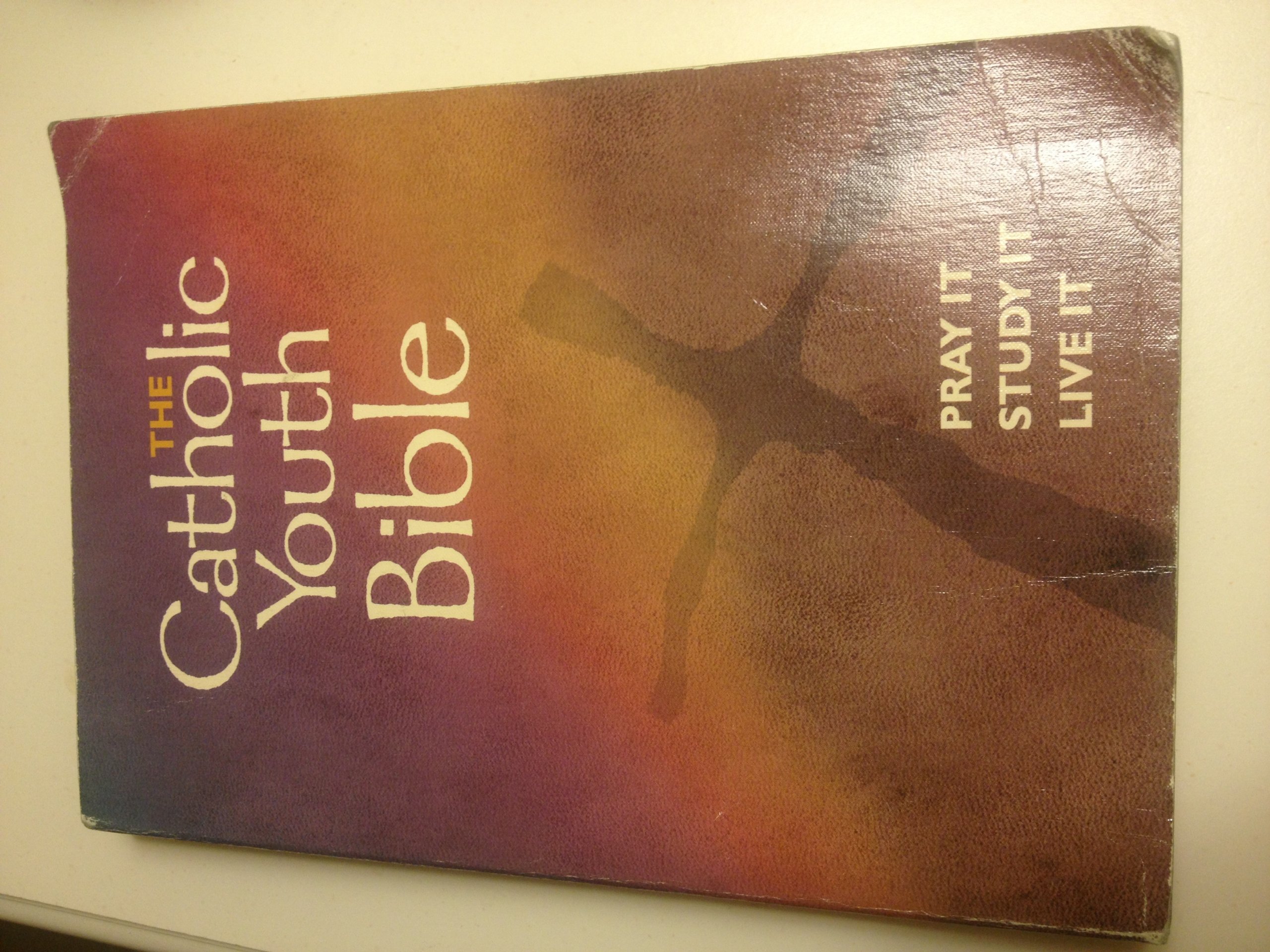 The Catholic Youth Bible: New Revised Standard Version : Catholic ...