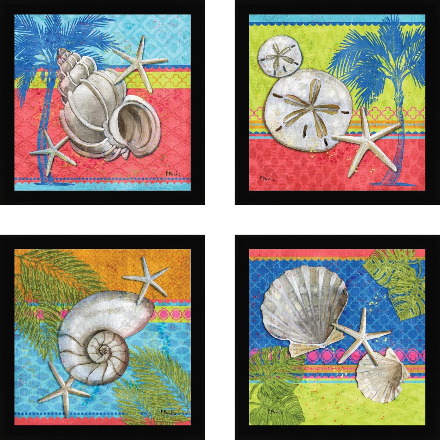 Amazon.com: Pacific Shells IV created by Brent, Paul - Set of 4 Art ...