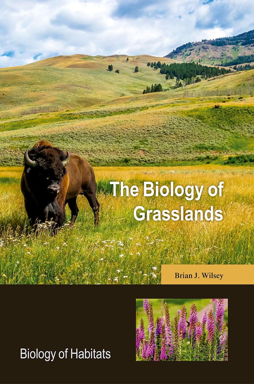 Amazon.com: The Biology of Grasslands (Biology of Habitats Series ...