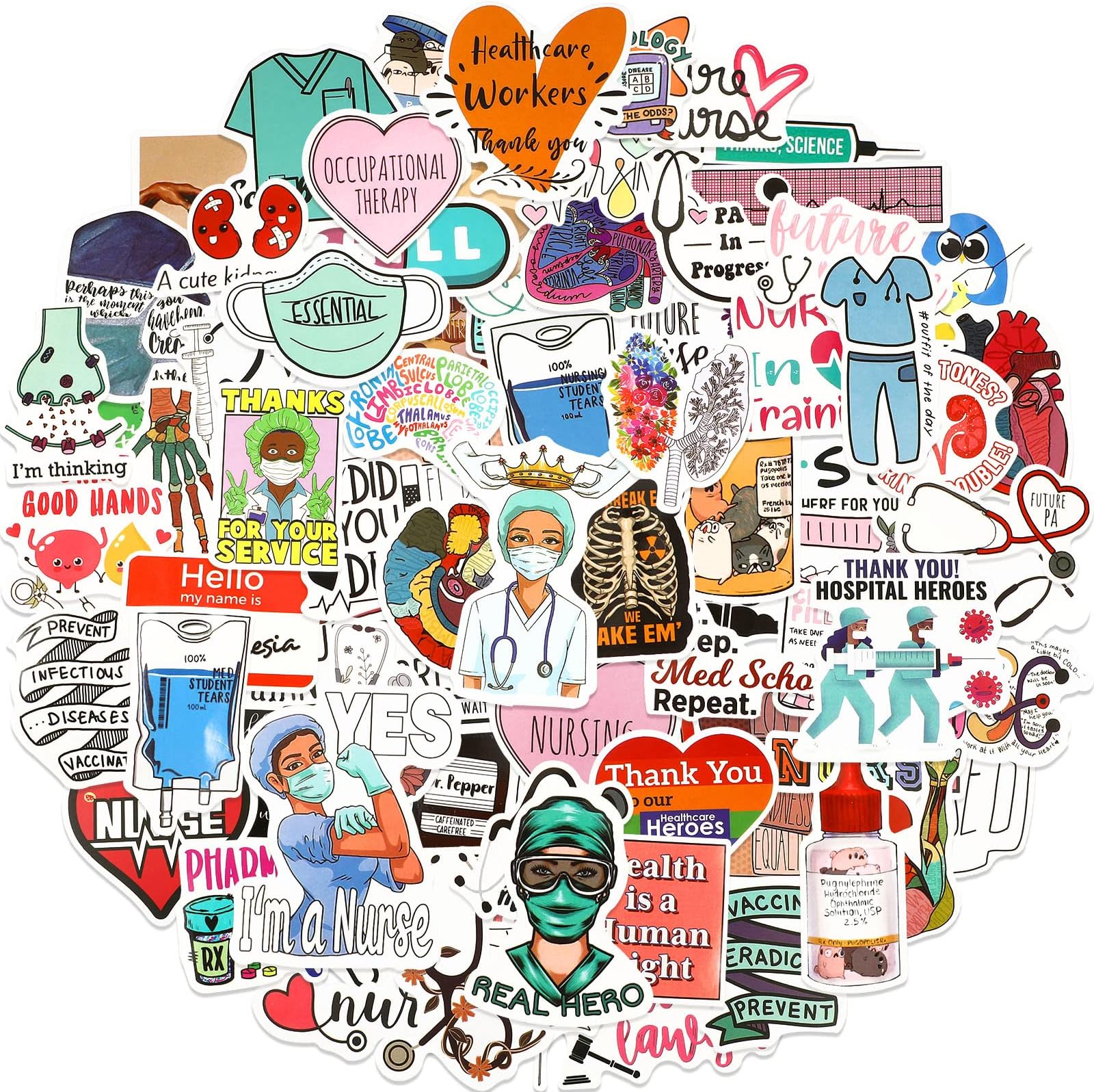 Amazon.com: Vintage Anatomy Stickers,Human Skeleton Stickers,Water ...