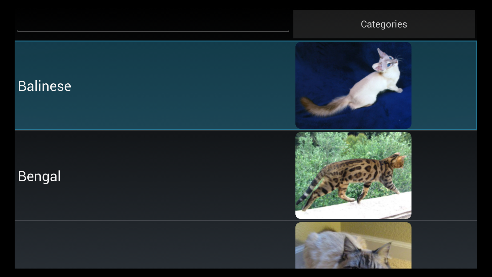 Name That Cat Breed - App on Amazon Appstore