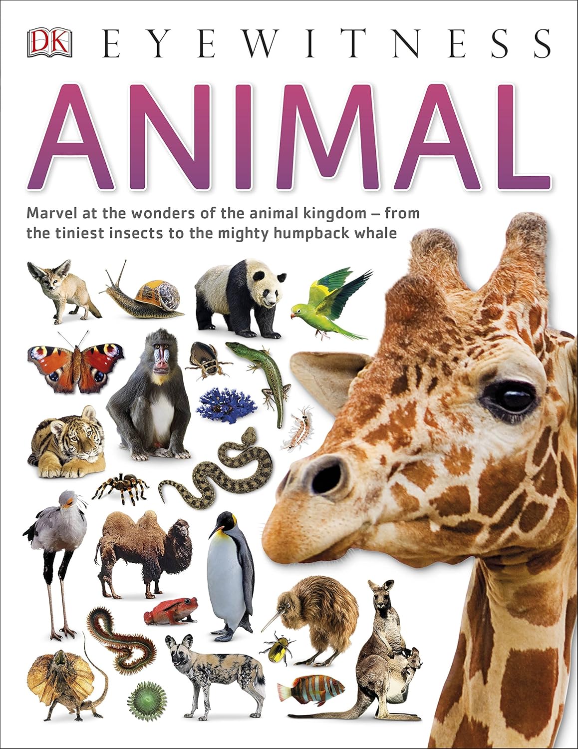 Animal (DK Eyewitness): Amazon.co.uk: DK: 9780241187760: Books