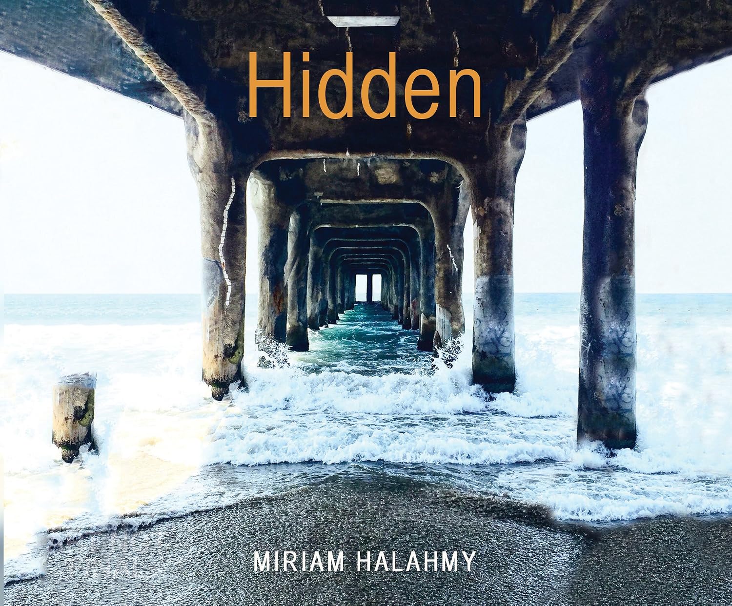 Amazon.com: Hidden (Hayling Cycle Series, 1): 9781520045085: Halahmy ...