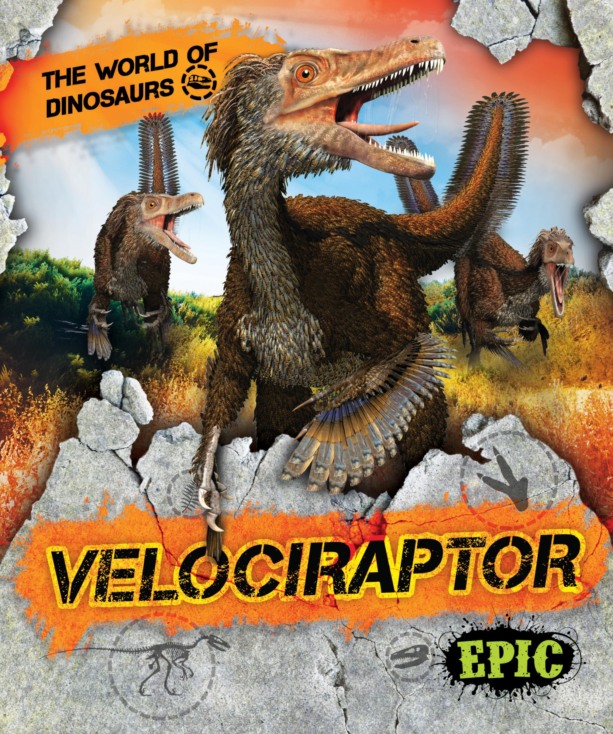 Velociraptor (The World of Dinosaurs): Rebecca Sabelko: 9781618917386 ...