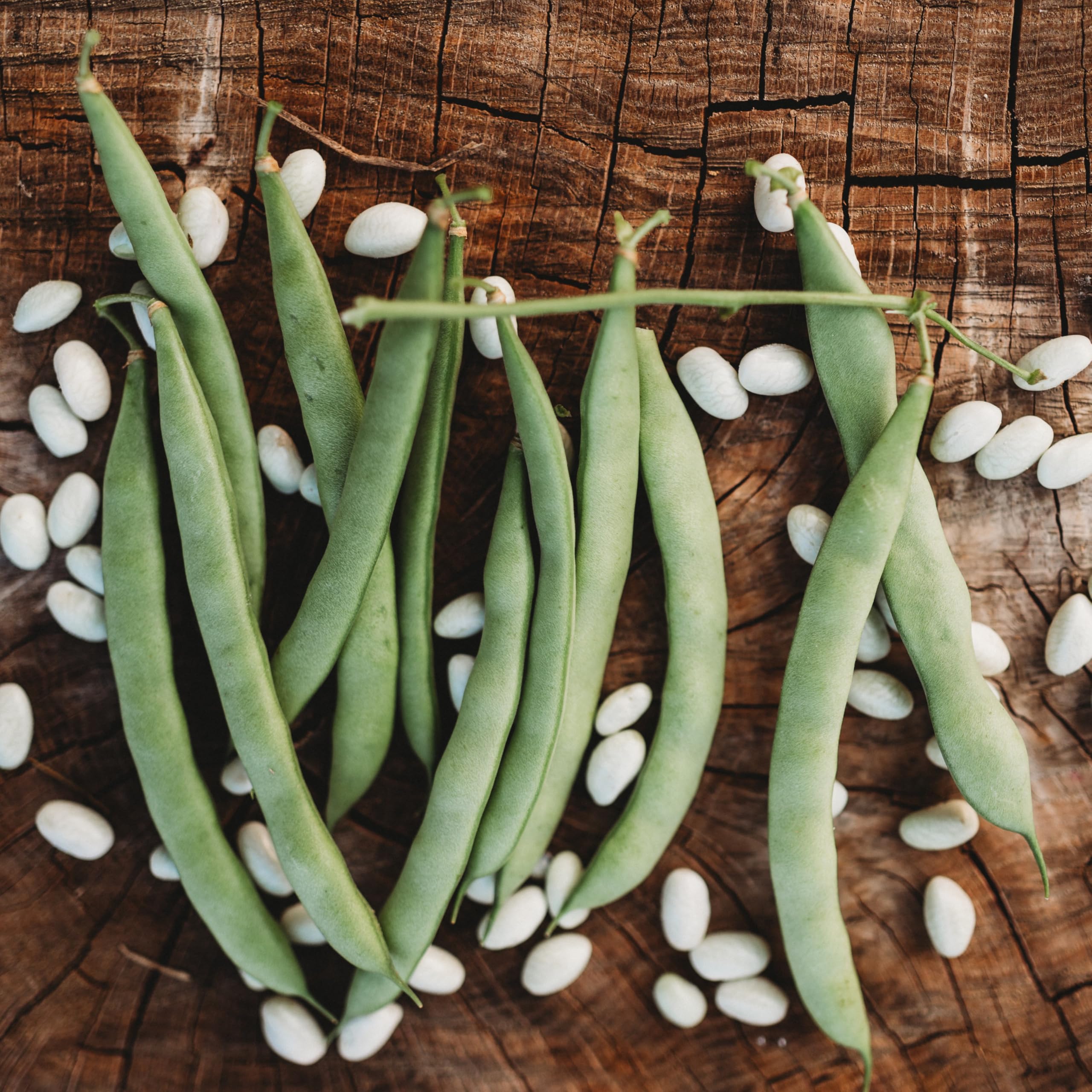 Amazon.com : Mountaineer White Half-Runner Bean - 50 Seeds - Rare ...