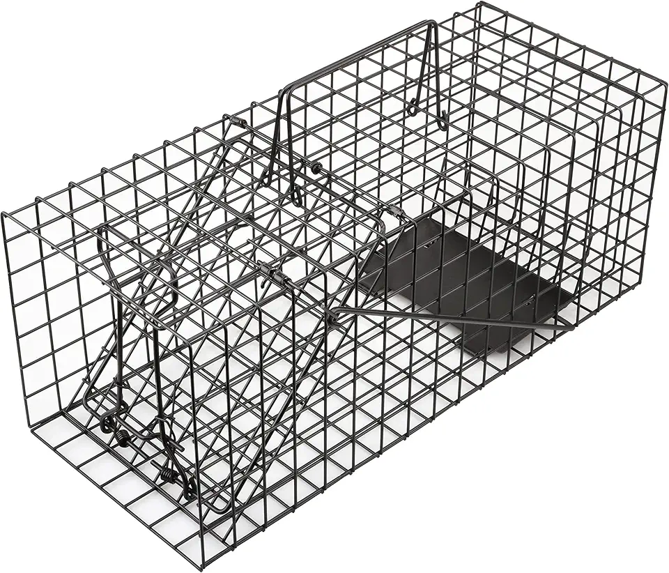 The Perfect Cage For Your Pet Squirrel | PetShun