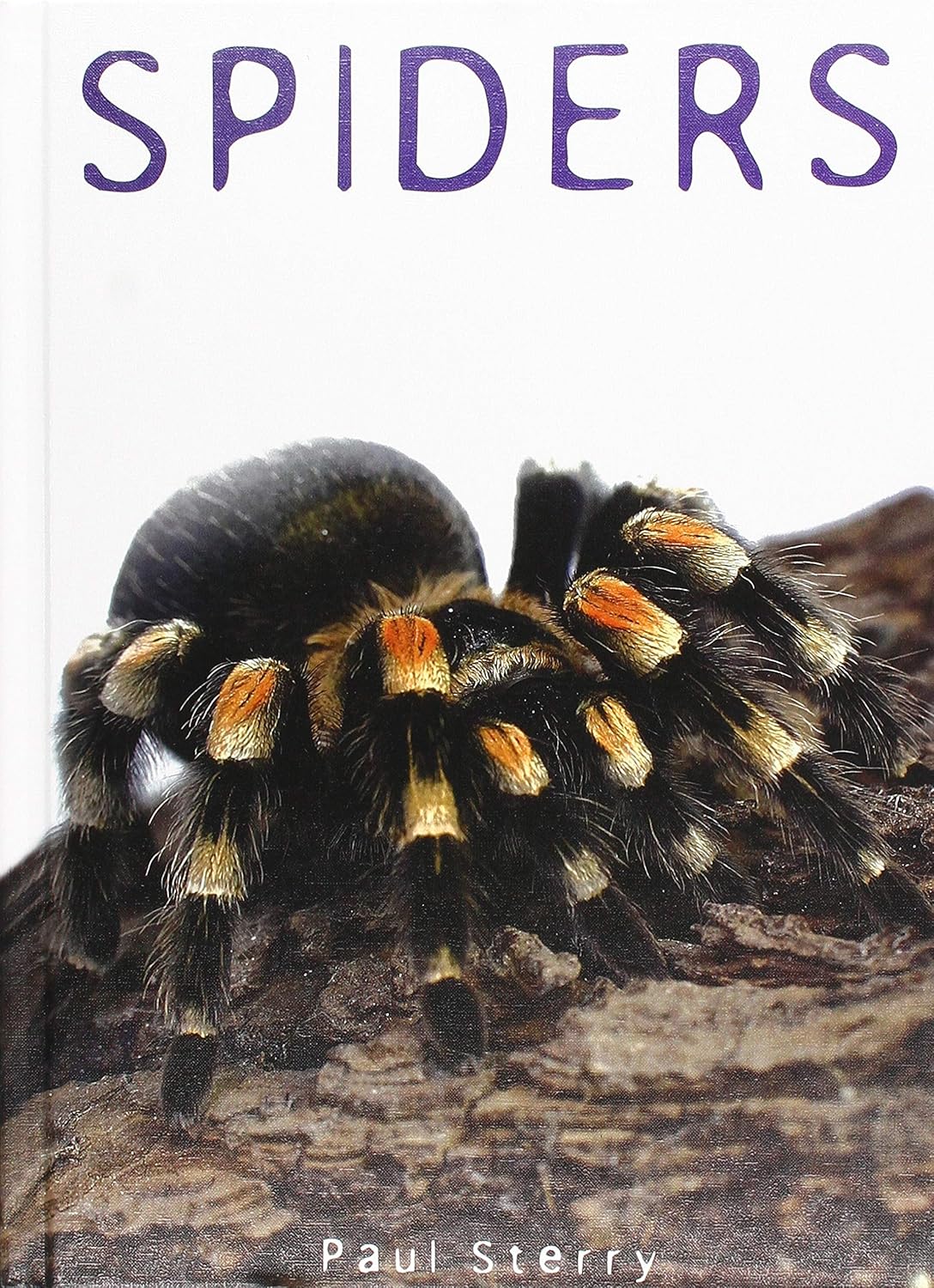 Spiders (Exploring Nature): Sterry, Paul: 9781422239612: Amazon.com: Books