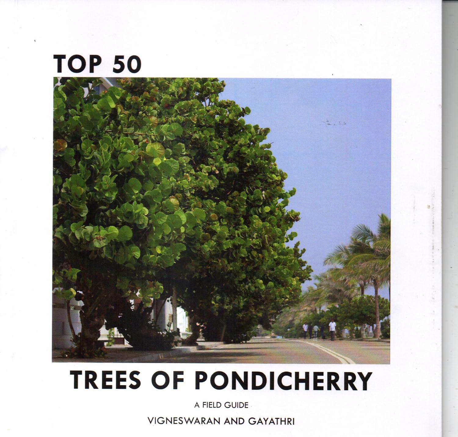 Amazon.in: Buy TOP 50 TREES OF PONDICHERRY Book Online at Low Prices in ...