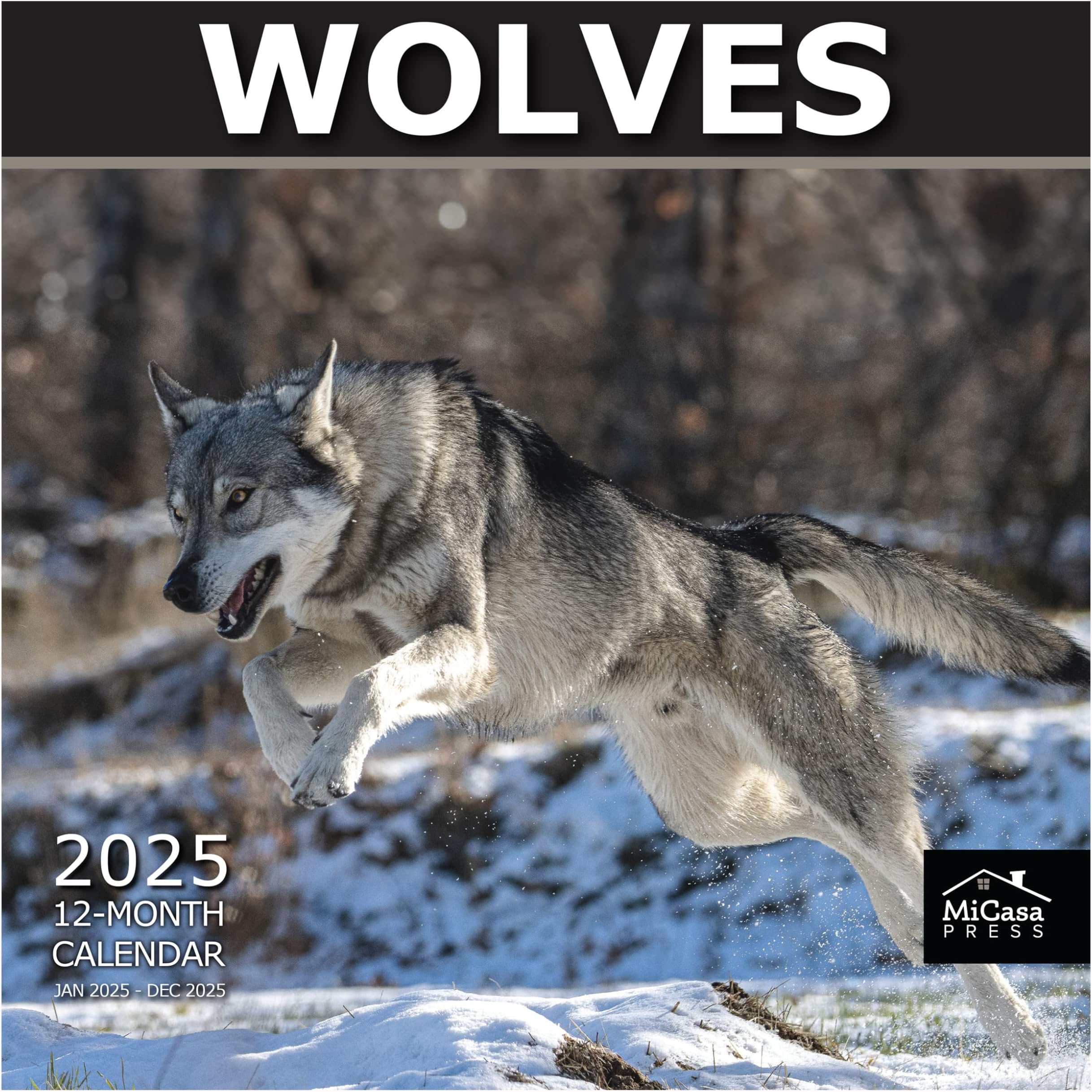 Amazon.com: Wolves 2025 Slim Calendar : Office Products