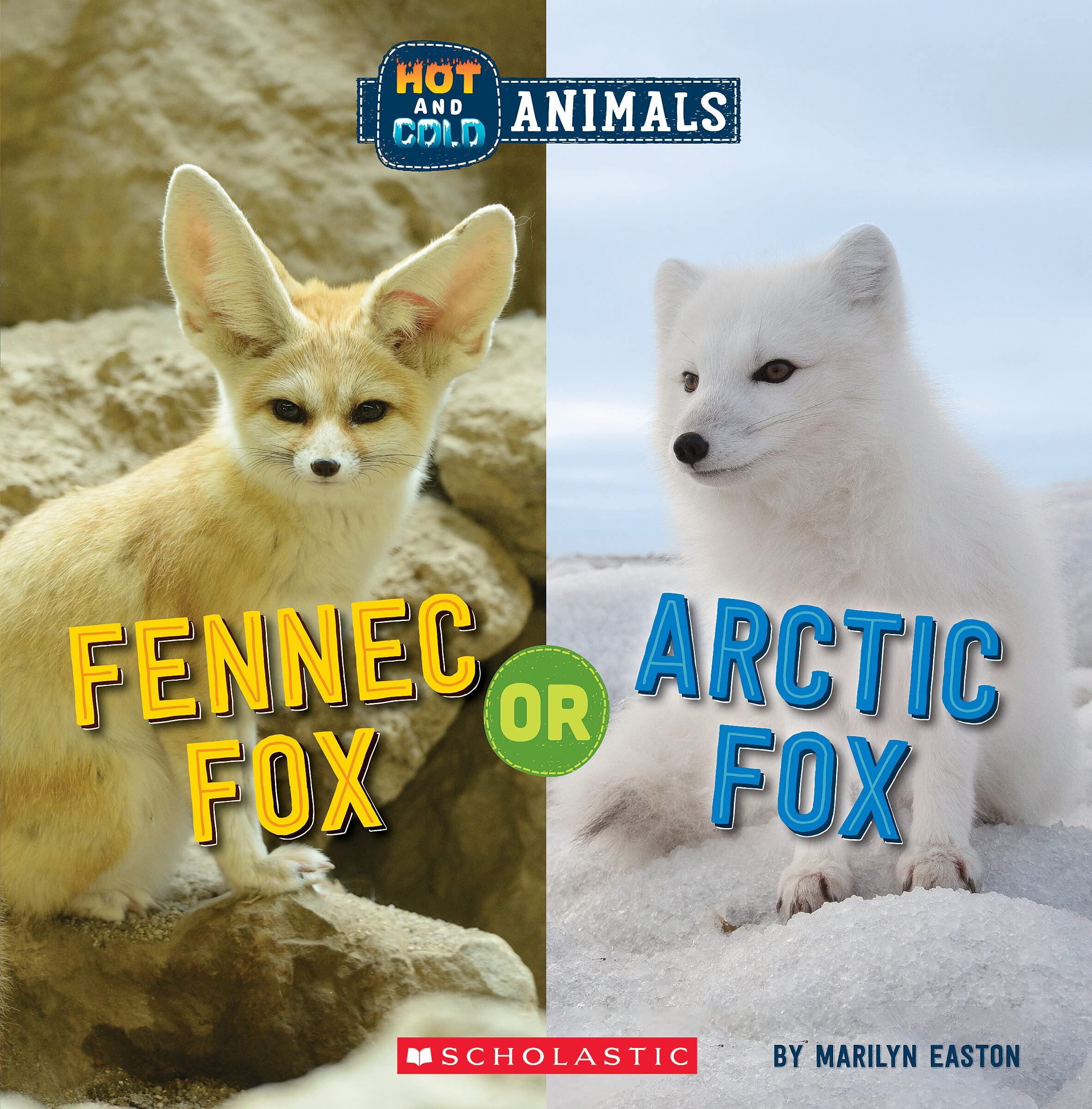 Fennec Fox or Arctic Fox (Wild World: Hot and Cold Animals): Easton ...