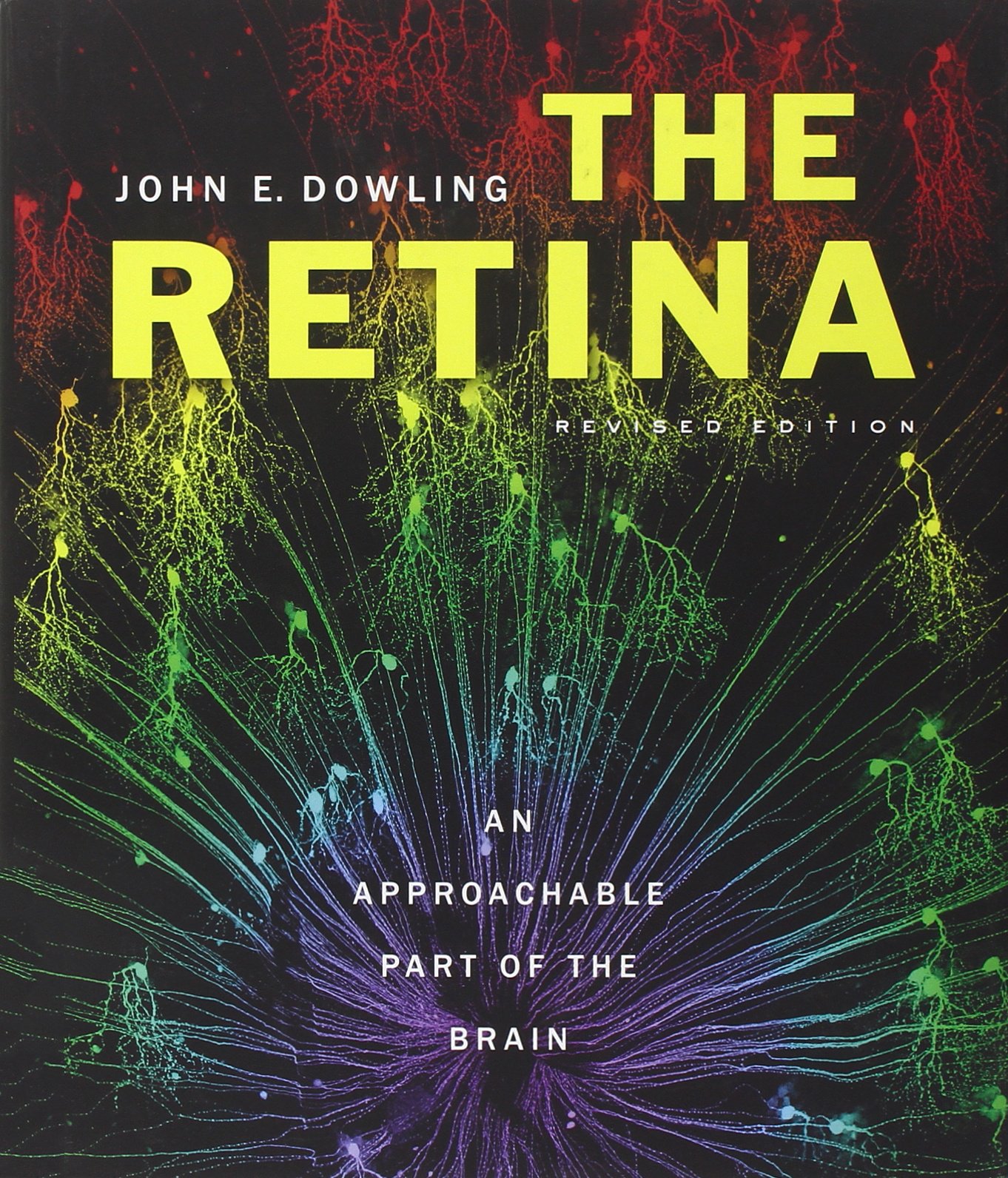 The Retina: An Approachable Part of the Brain, Revised Edition ...