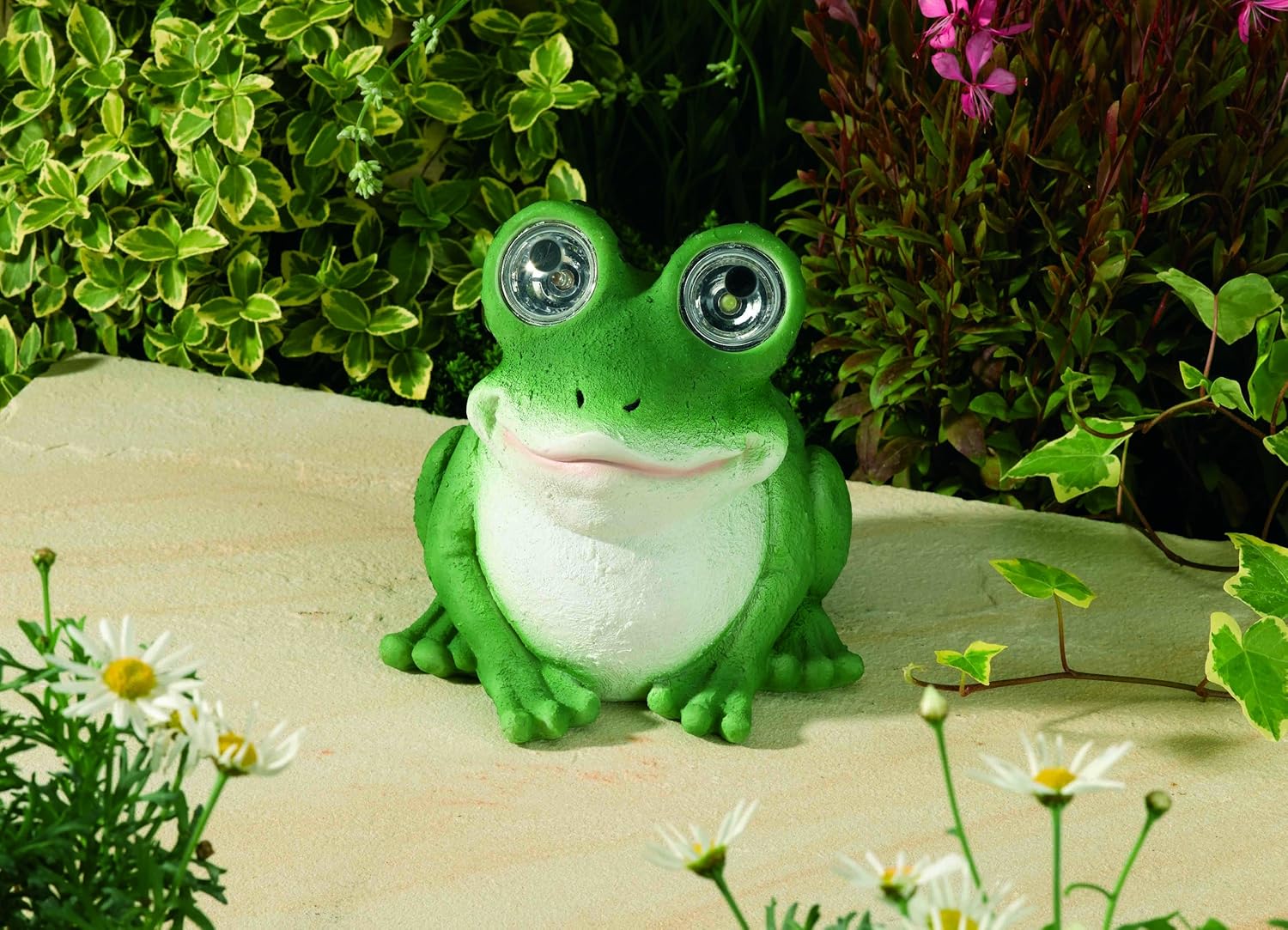 Amazon.com : Solar Light Bright Eyed Frog Bright Eyed Frog Spot Light ...
