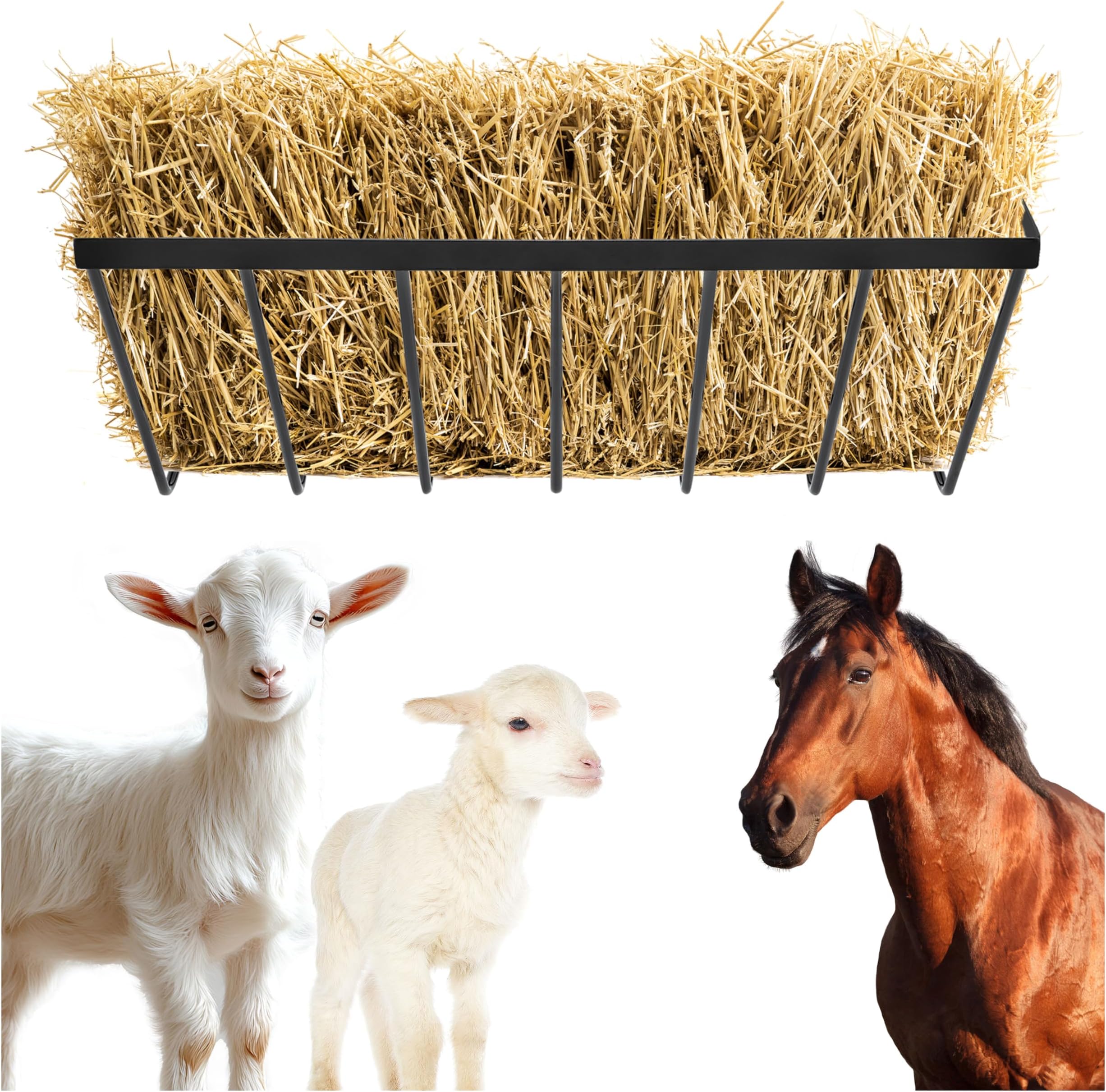 Amazon.com: KUAFU Hay Feeder Hay Rack Wall Mount Horse Goat Feeder ...